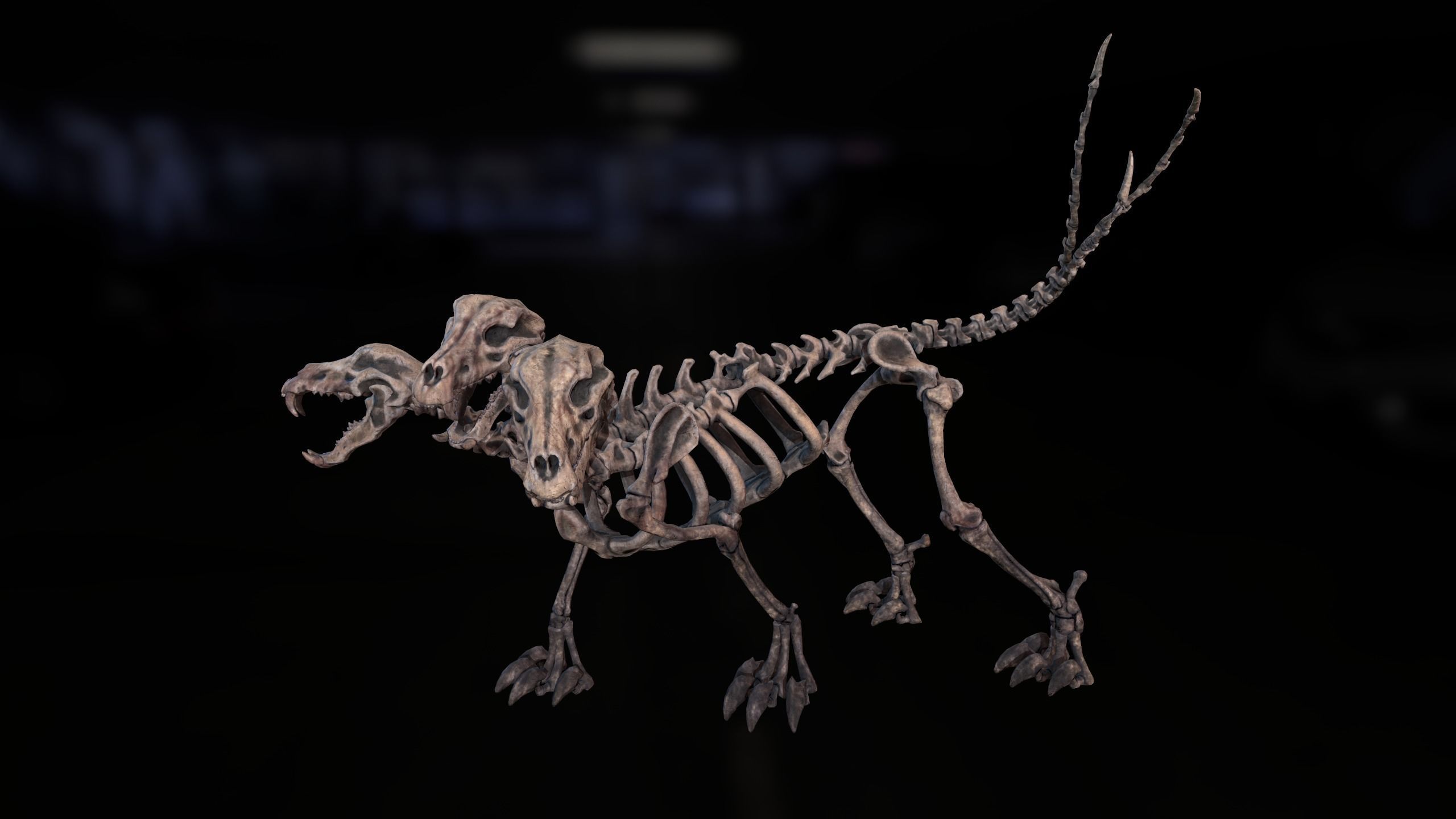 3D model Cerberus skeleton VR / AR / low-poly | CGTrader
