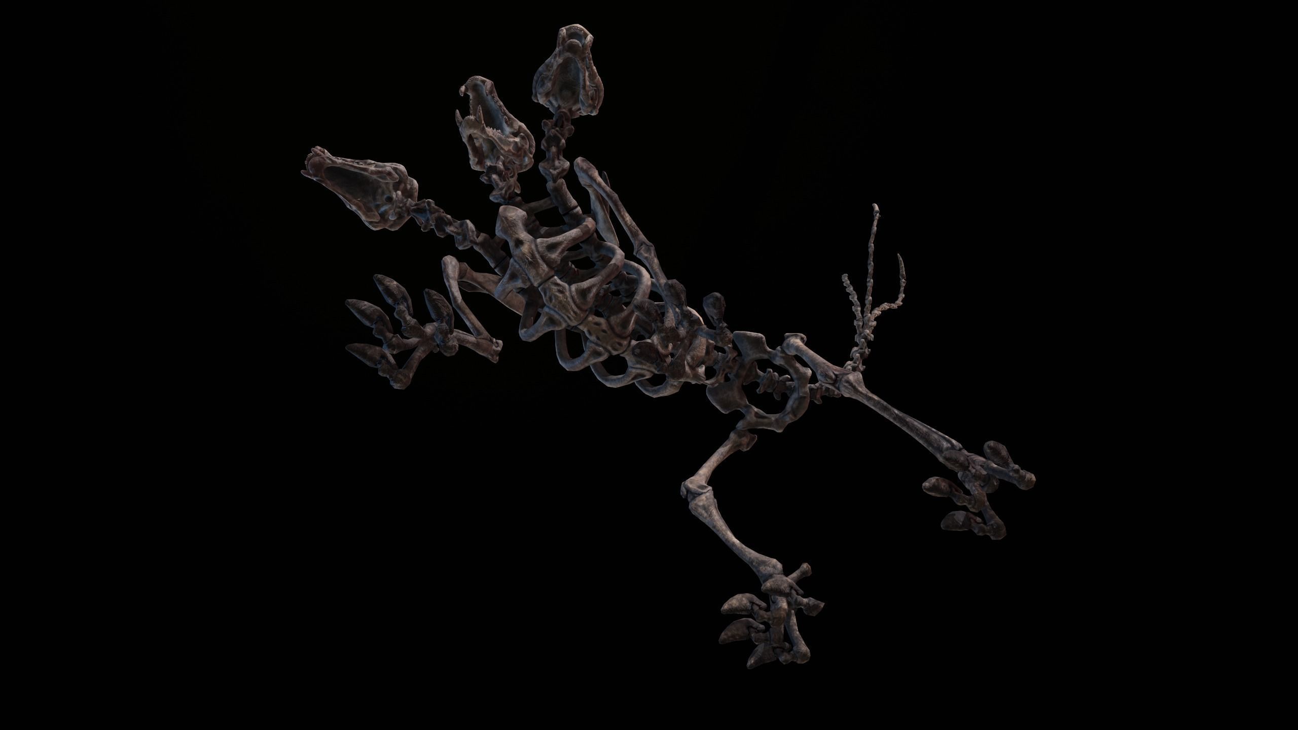 3D model Cerberus skeleton VR / AR / low-poly | CGTrader