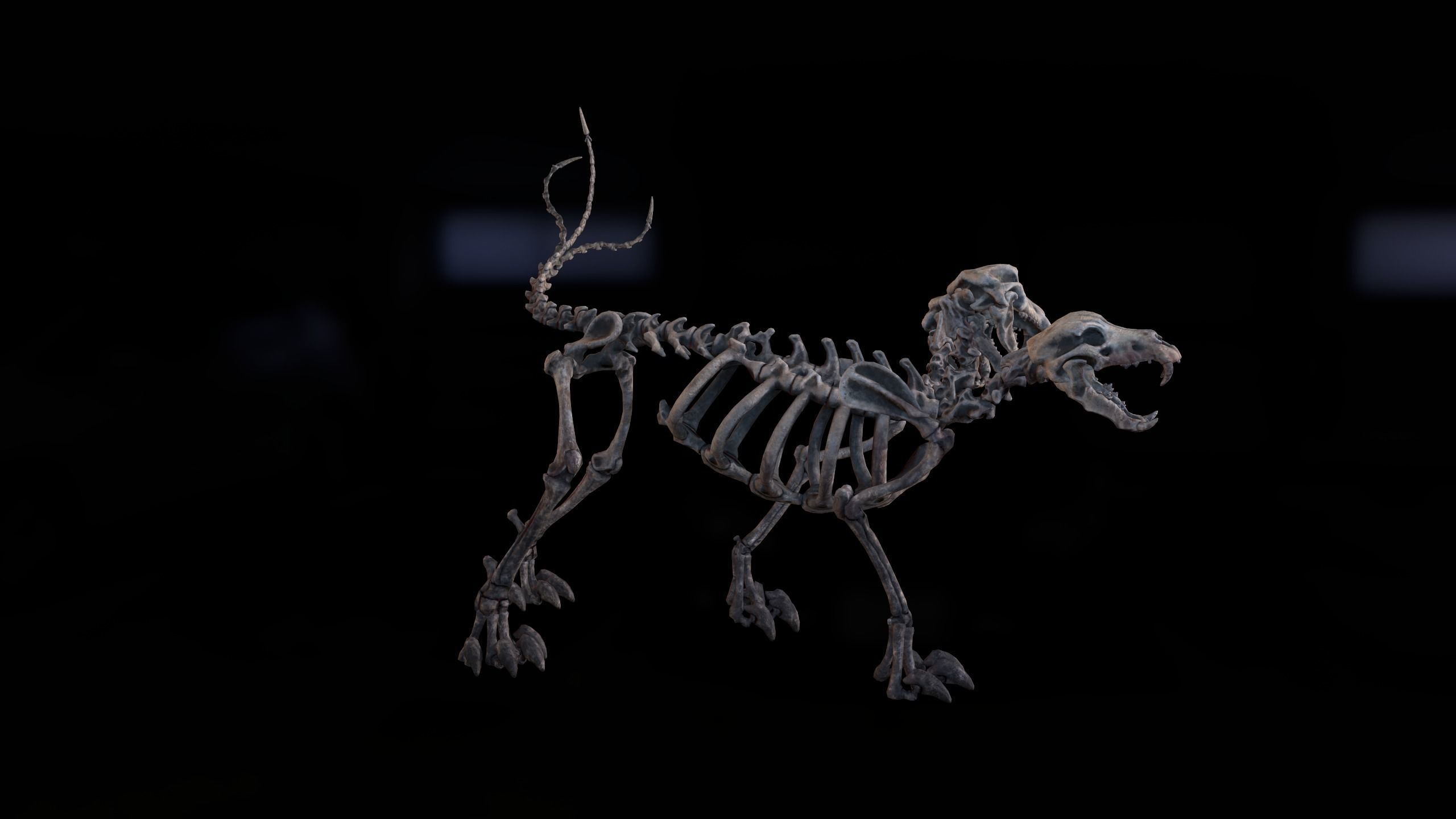 3D model Cerberus skeleton VR / AR / low-poly | CGTrader