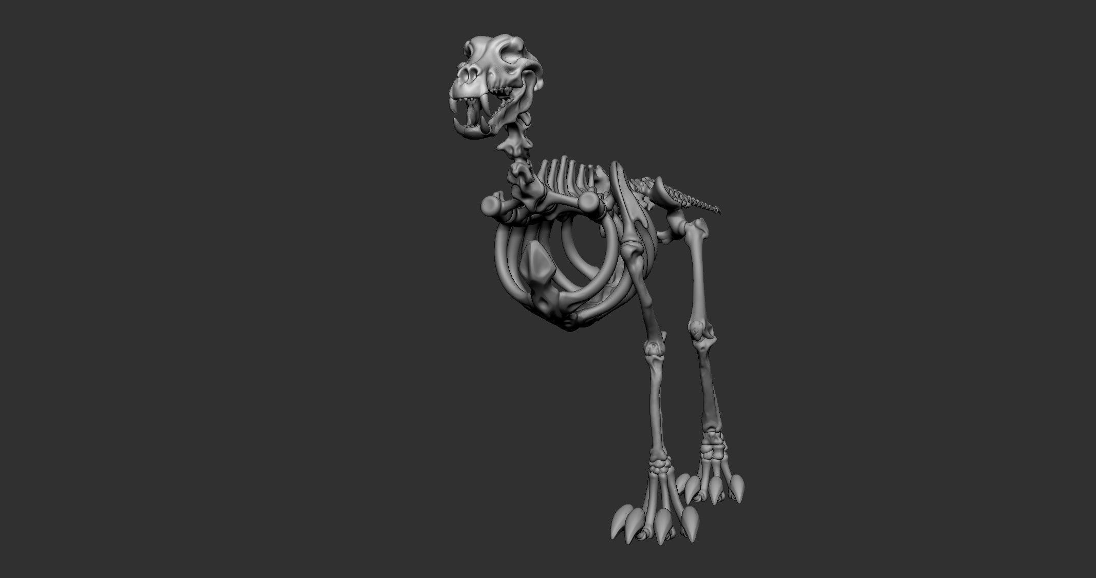 3D model Cerberus skeleton VR / AR / low-poly | CGTrader