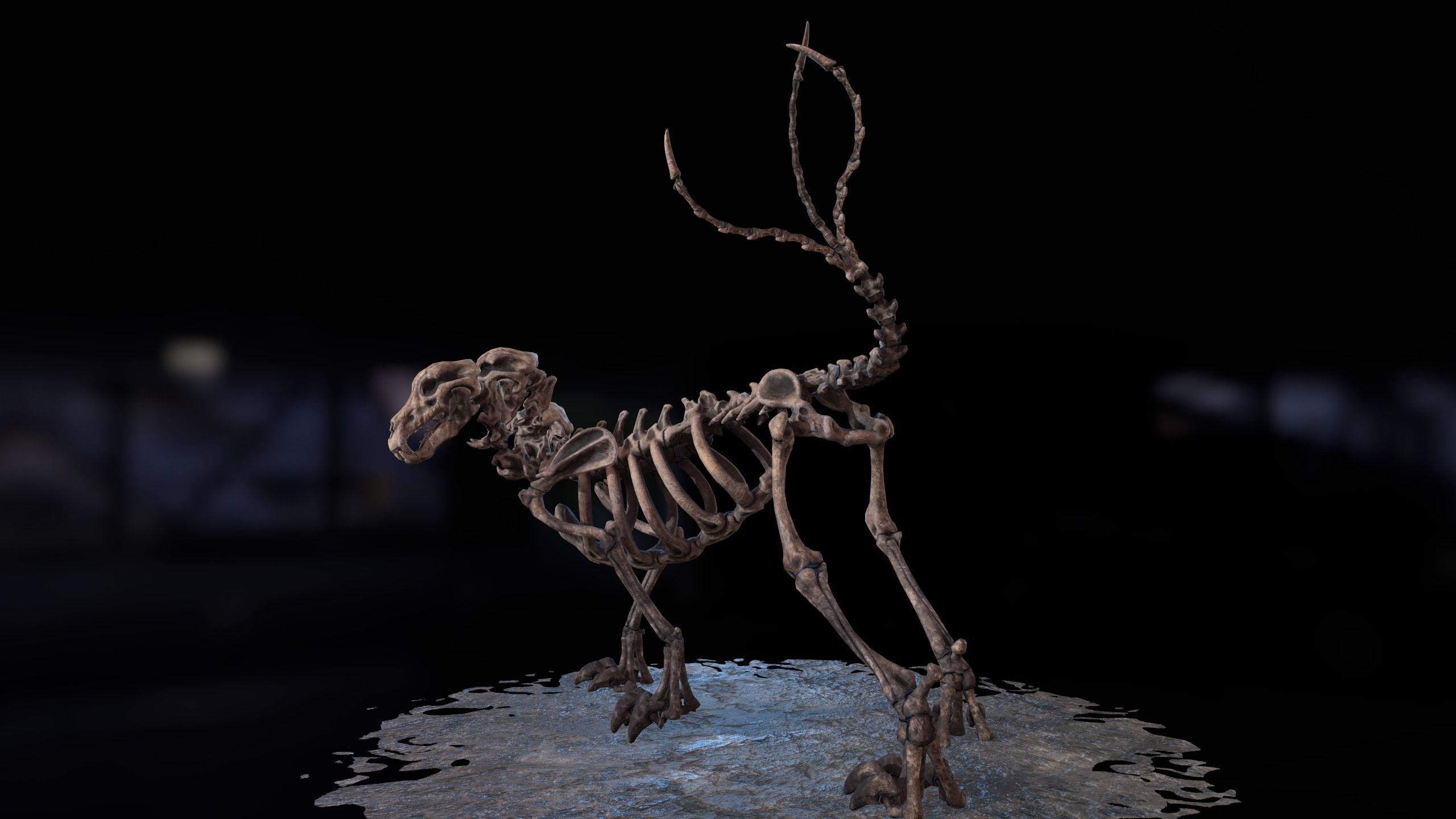 3D model Cerberus skeleton VR / AR / low-poly | CGTrader