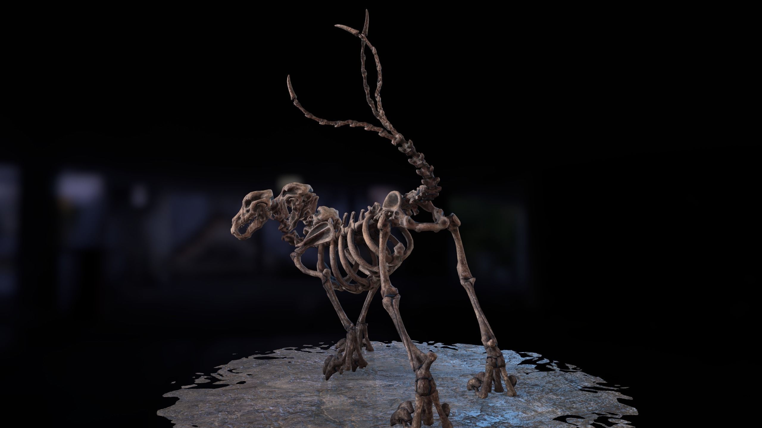 3D model Cerberus skeleton VR / AR / low-poly | CGTrader