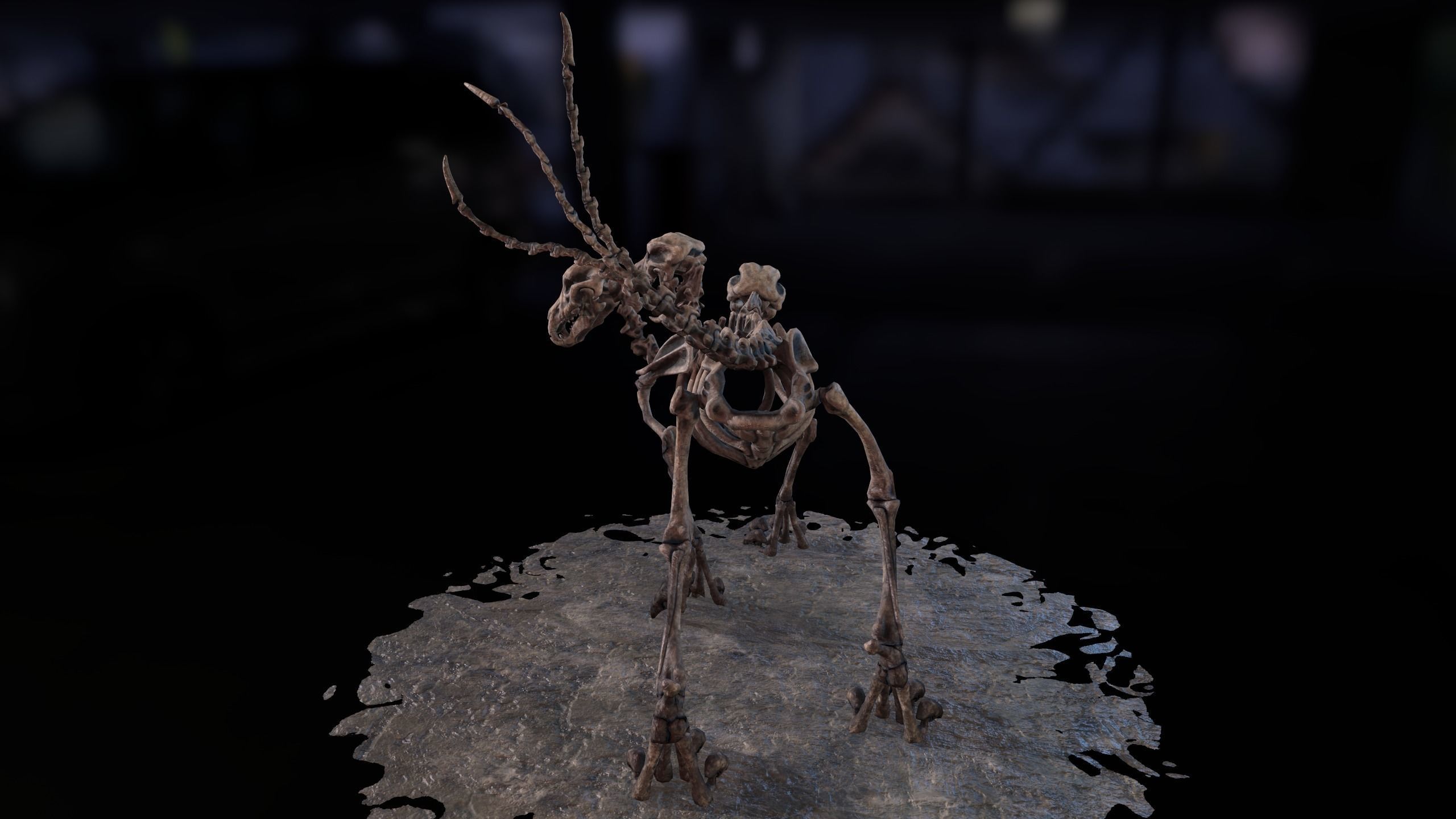 3D model Cerberus skeleton VR / AR / low-poly | CGTrader