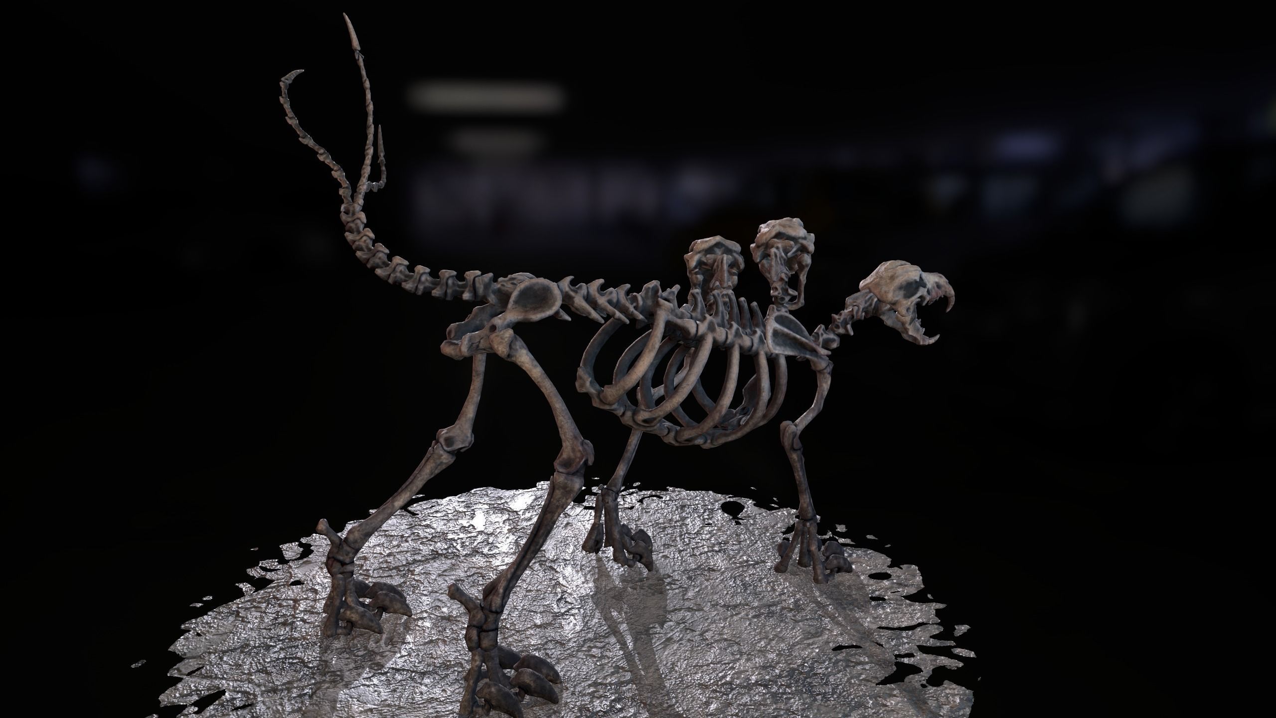 3D model Cerberus skeleton VR / AR / low-poly | CGTrader