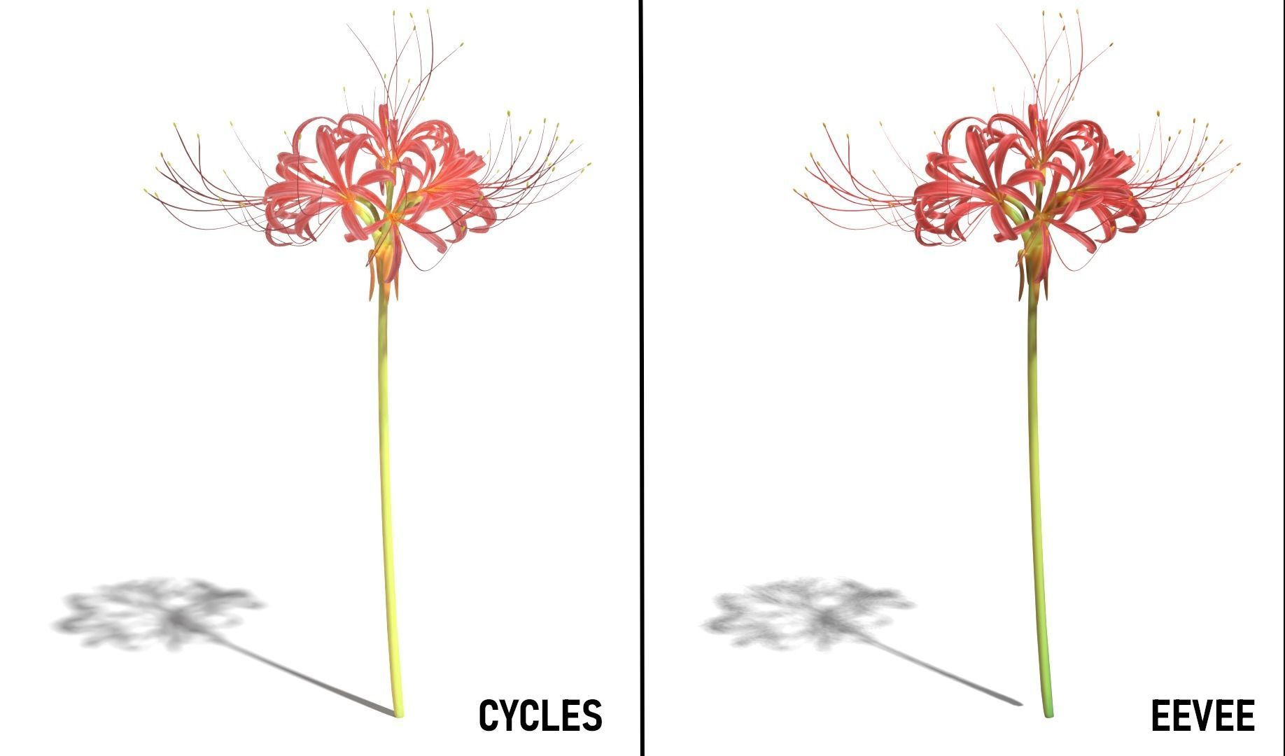 Flower Lycoris radiata - Red Spider Lily 3D model | CGTrader