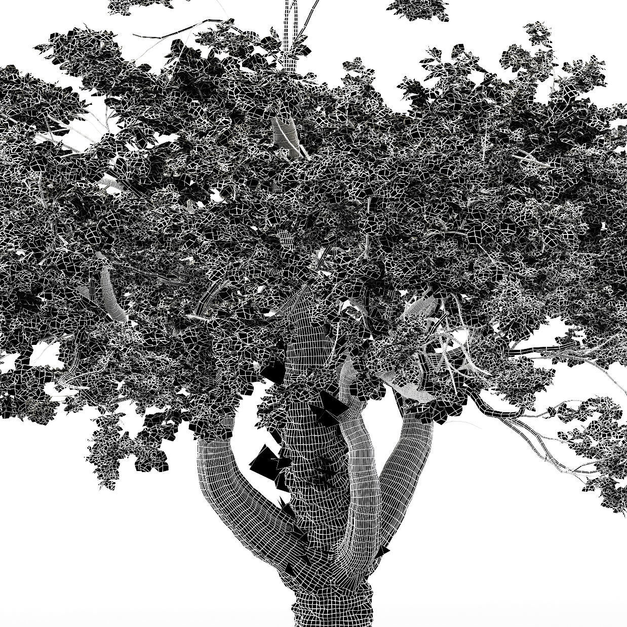 2 Different tree collection 2 trees Models in the scene free 3D model ...