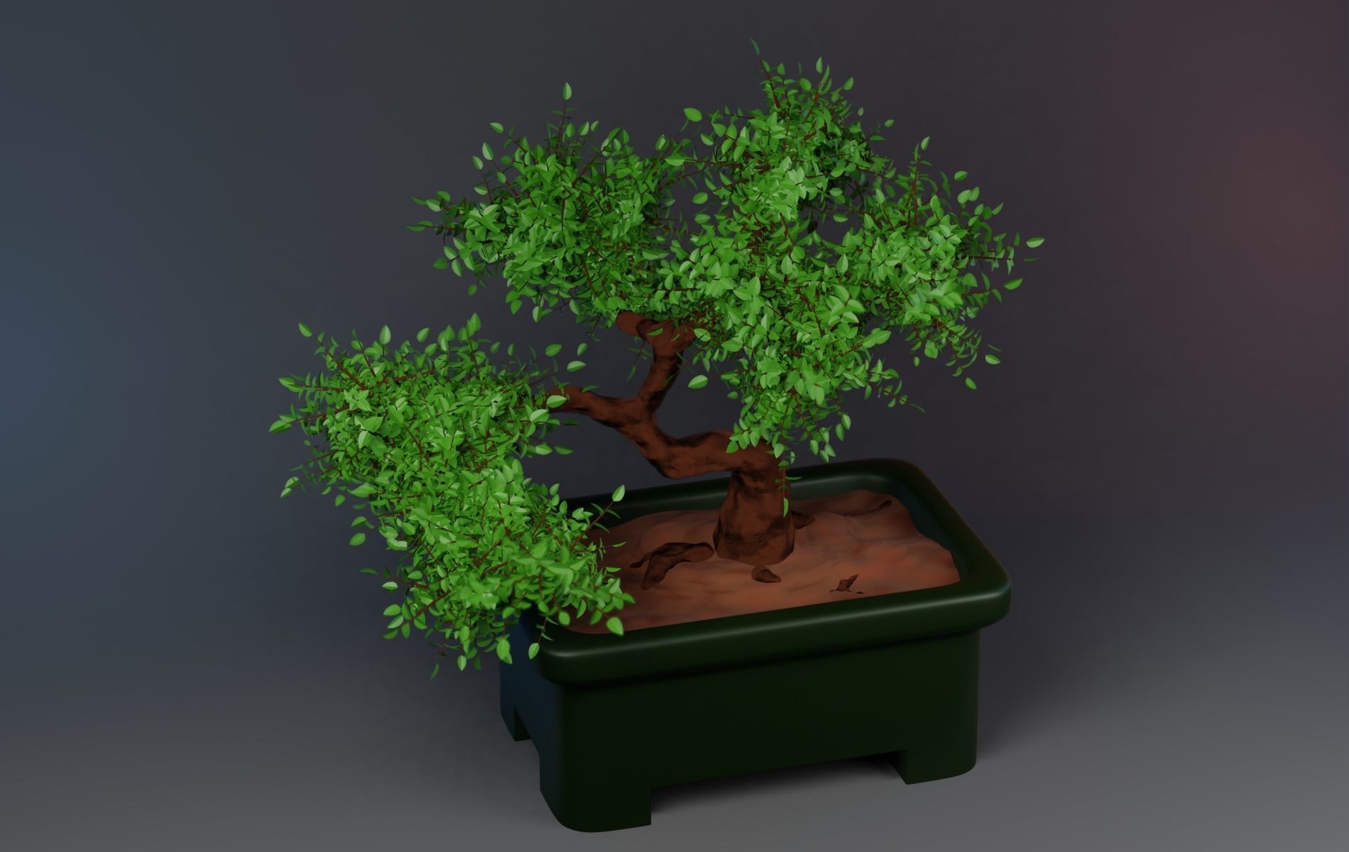 Bonsai Tree free VR / AR / low-poly 3D model animated | CGTrader