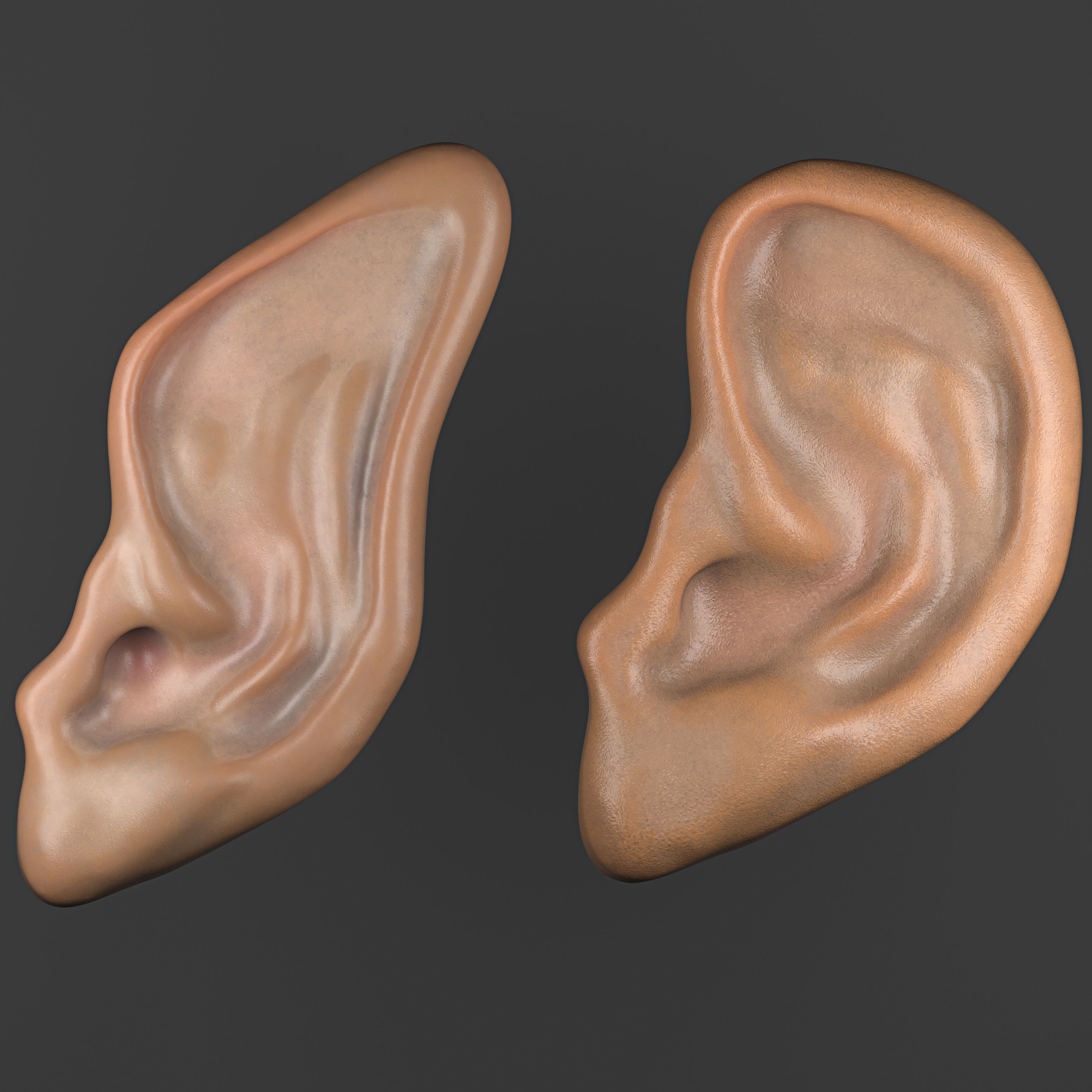 ears model human ear 3D model | CGTrader