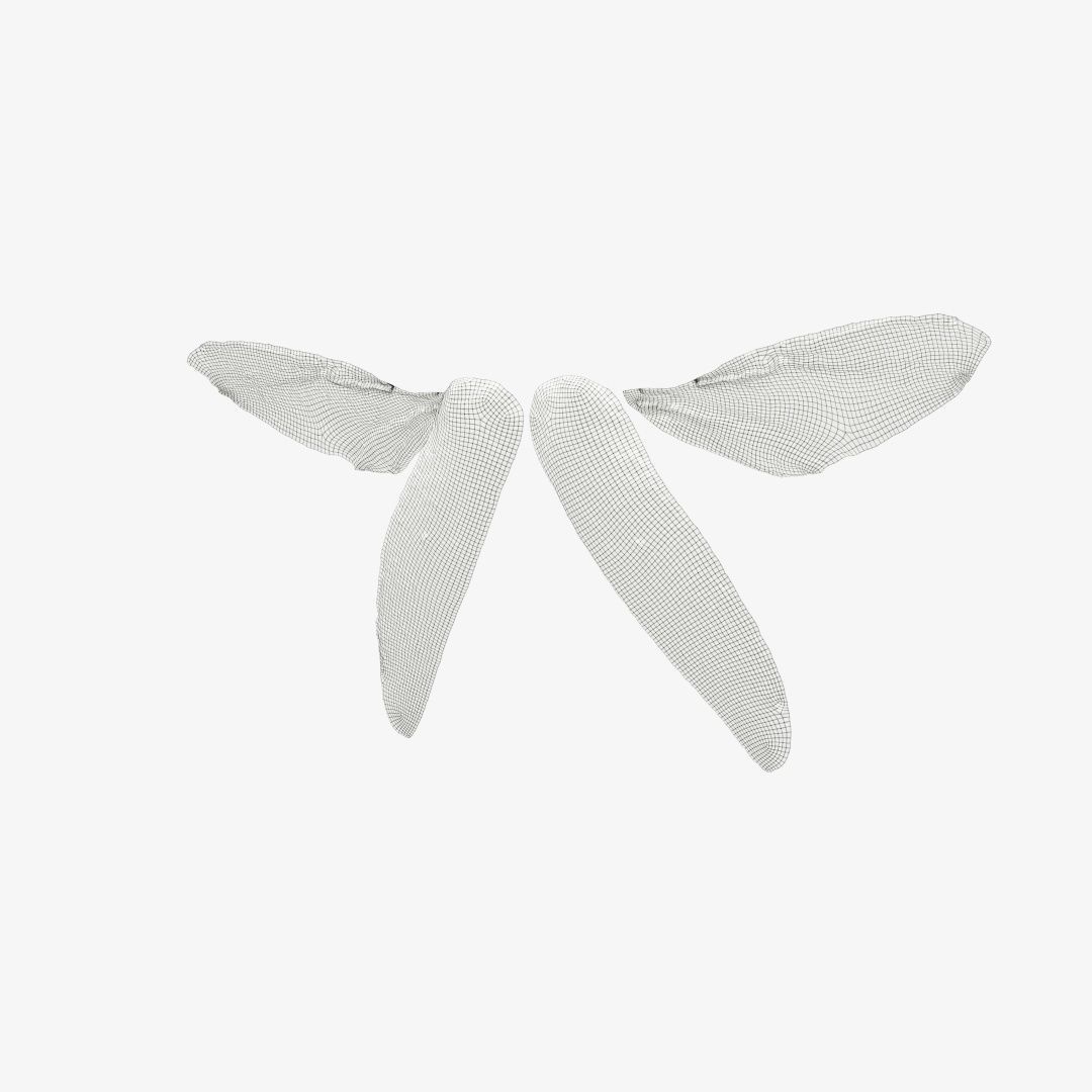 3D model Insect 2 fairy wings silver VR / AR / low-poly | CGTrader