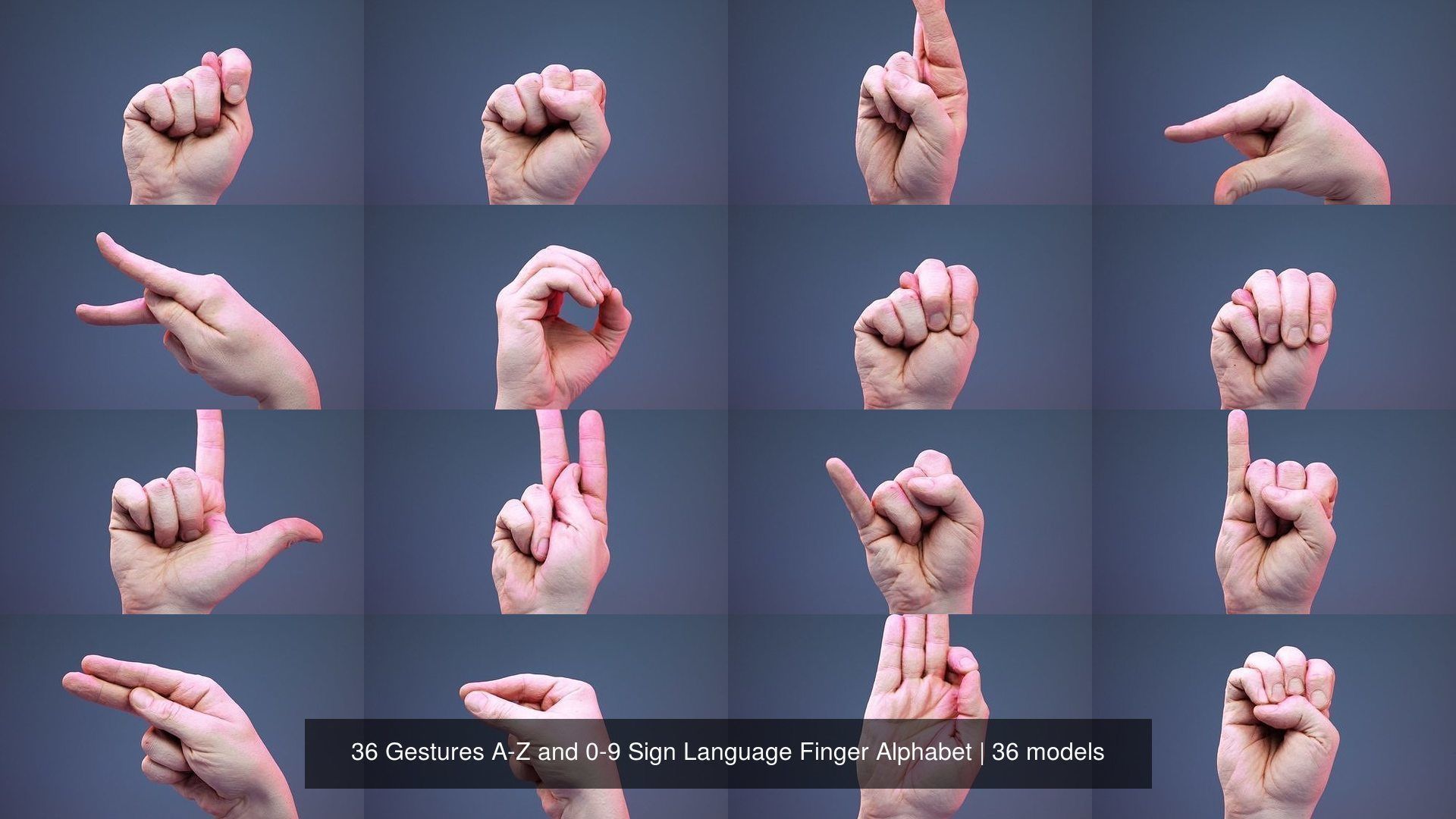 3D Model Collection 36 Gestures A-Z and 0-9 Sign Language Finger ...
