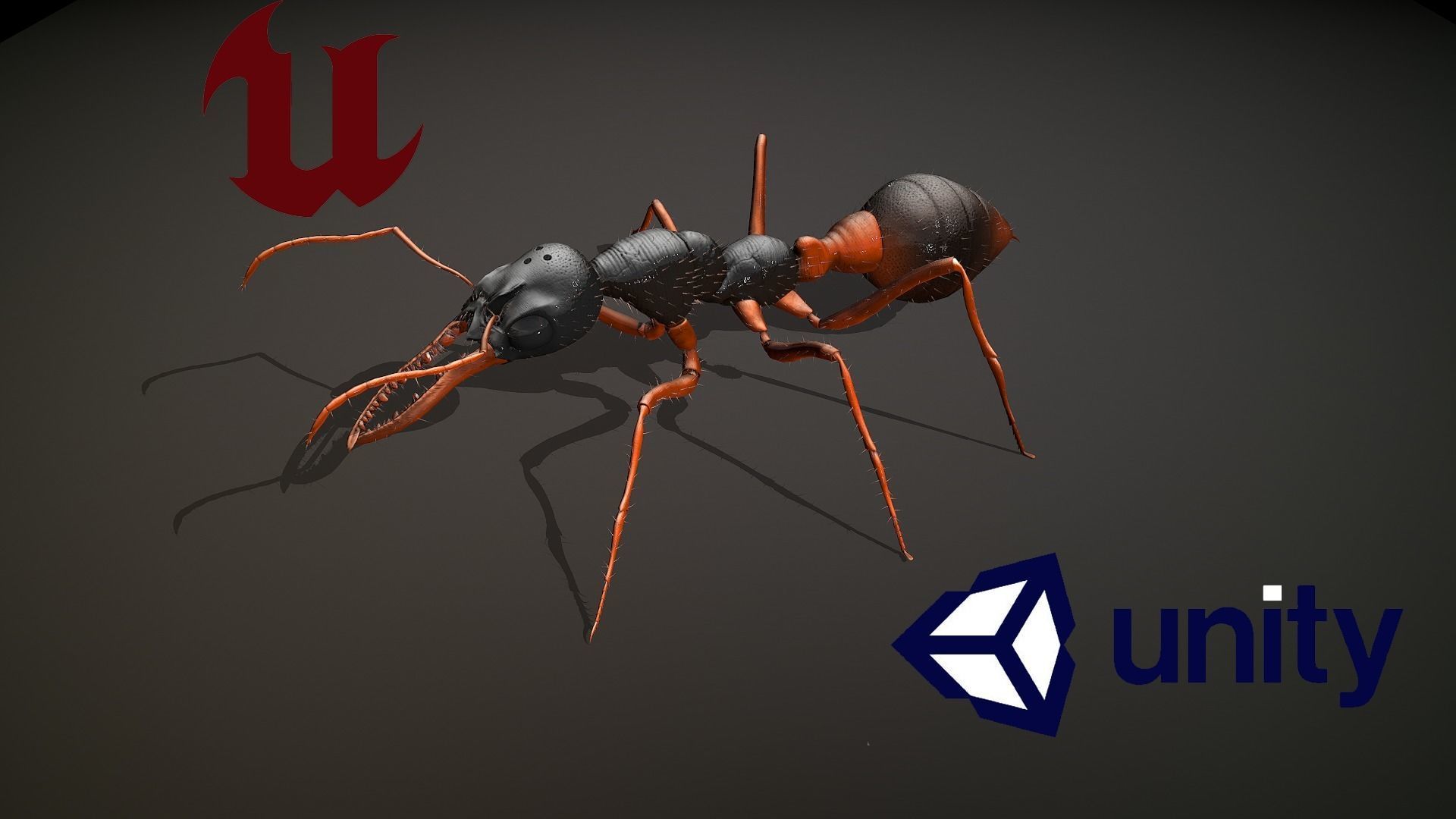 3D model Low poly Model of the character Ant Bulldog VR / AR / low-poly ...