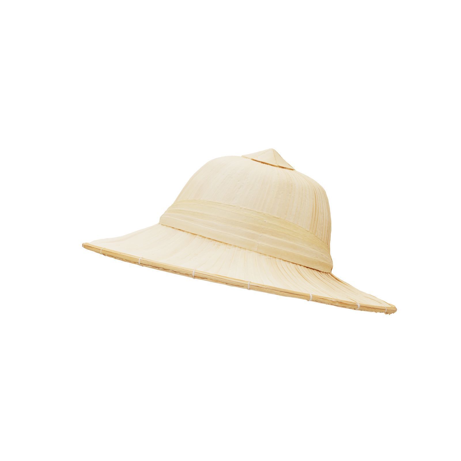 Tropical Hat 3D model | CGTrader