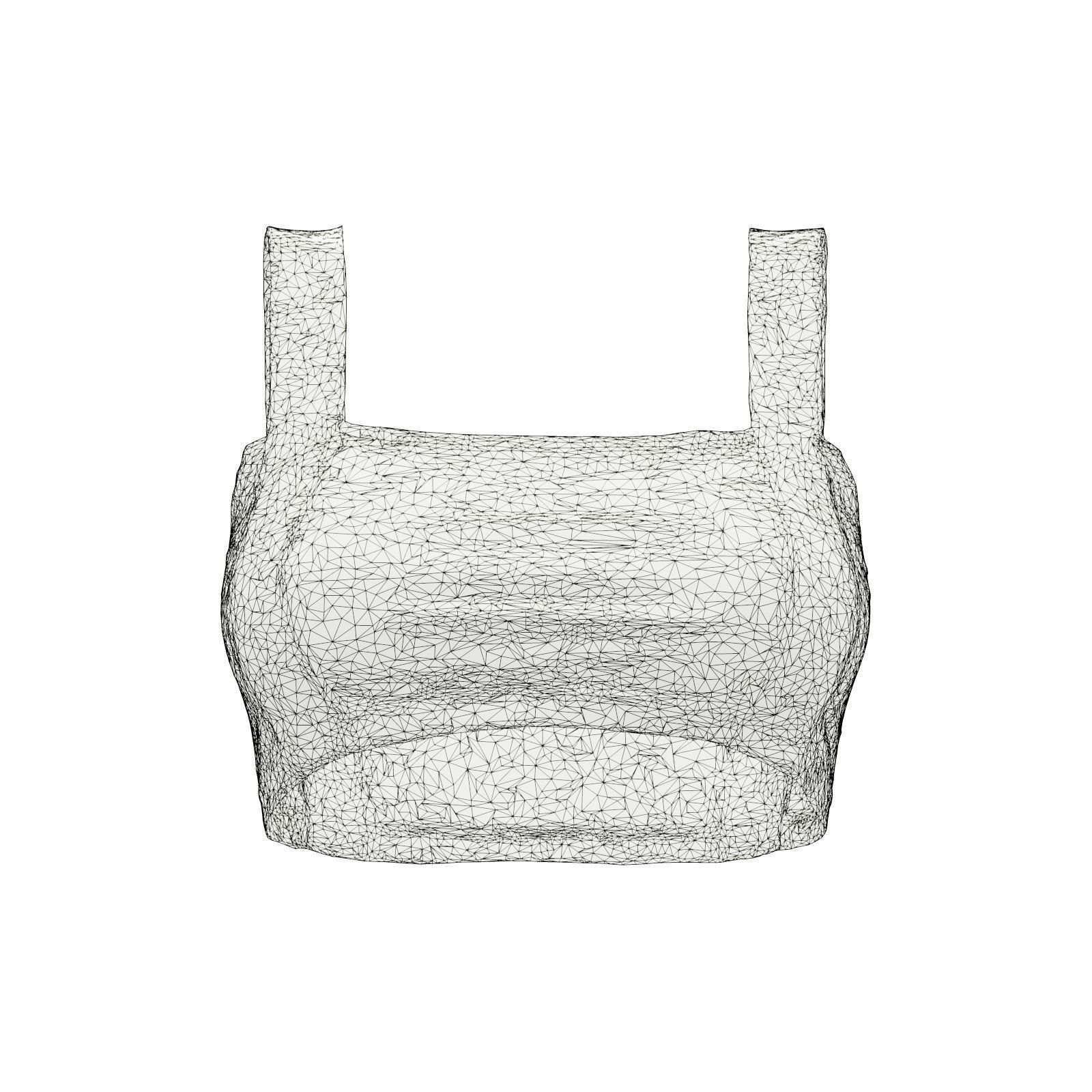 Tiger Bra 3D model | CGTrader