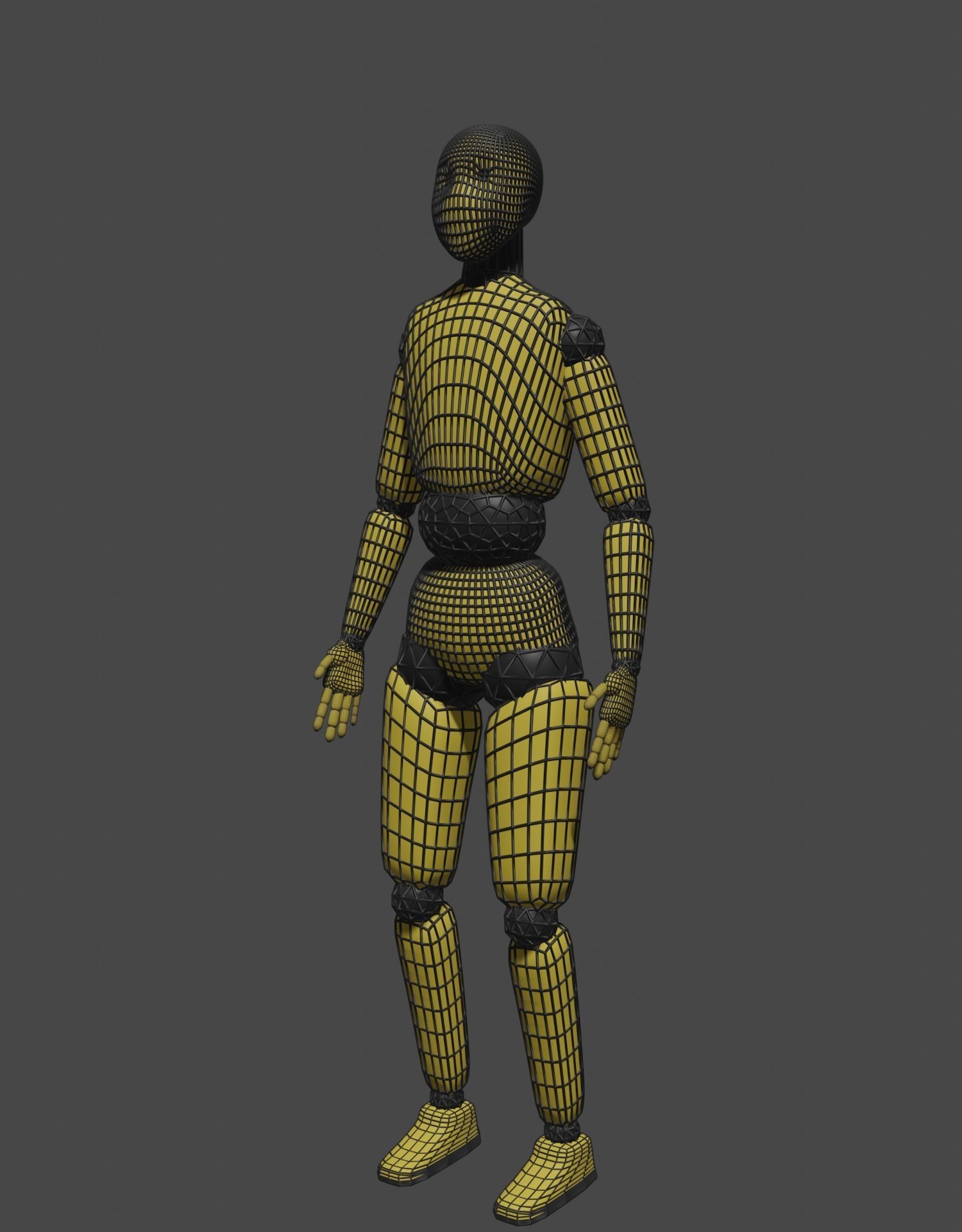 human maneken rig 3D model rigged | CGTrader