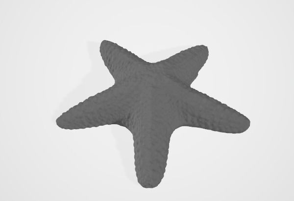 starfish two type free 3D model 3D printable | CGTrader