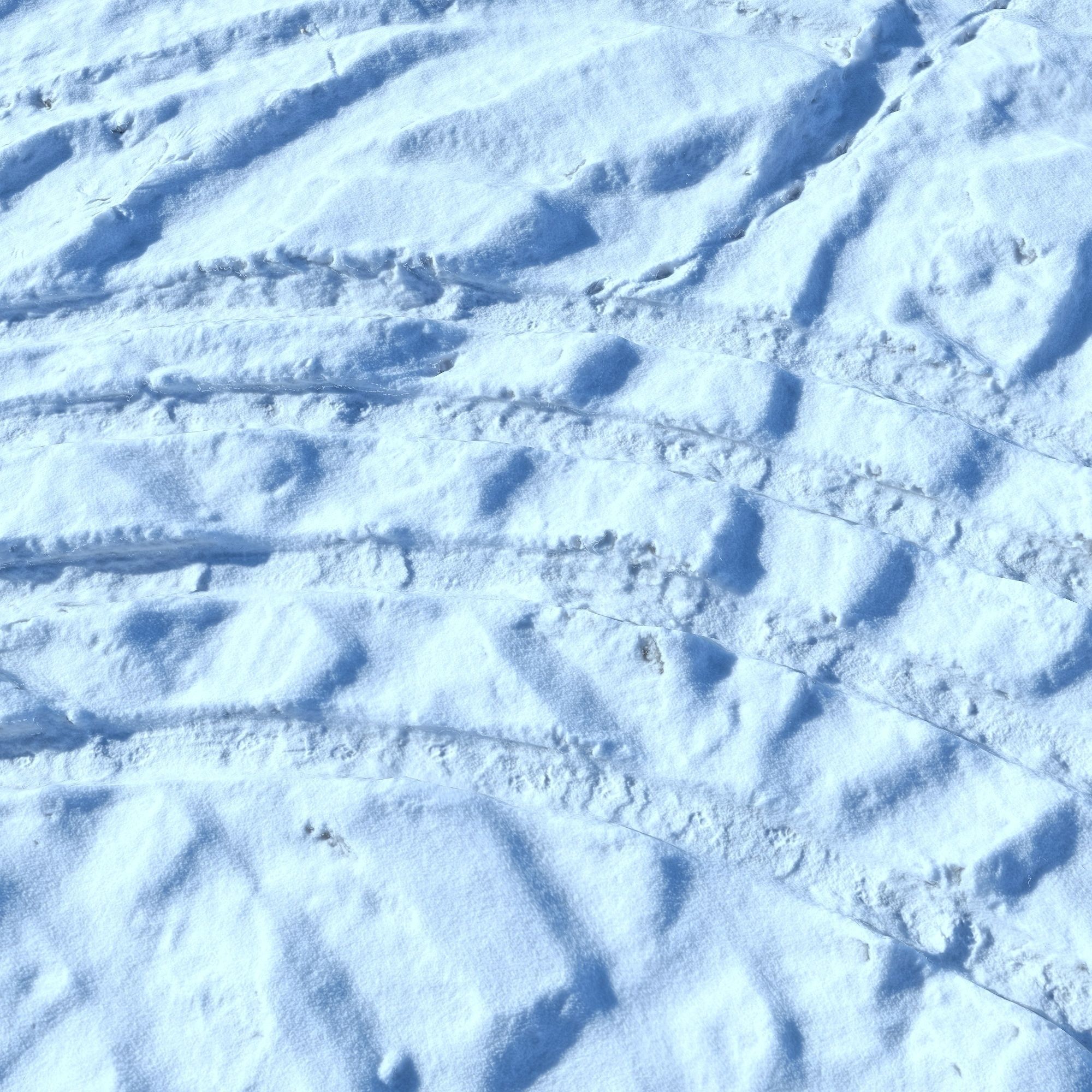 Texture Trail in the snow Low-poly 3D model VR / AR / low-poly | CGTrader