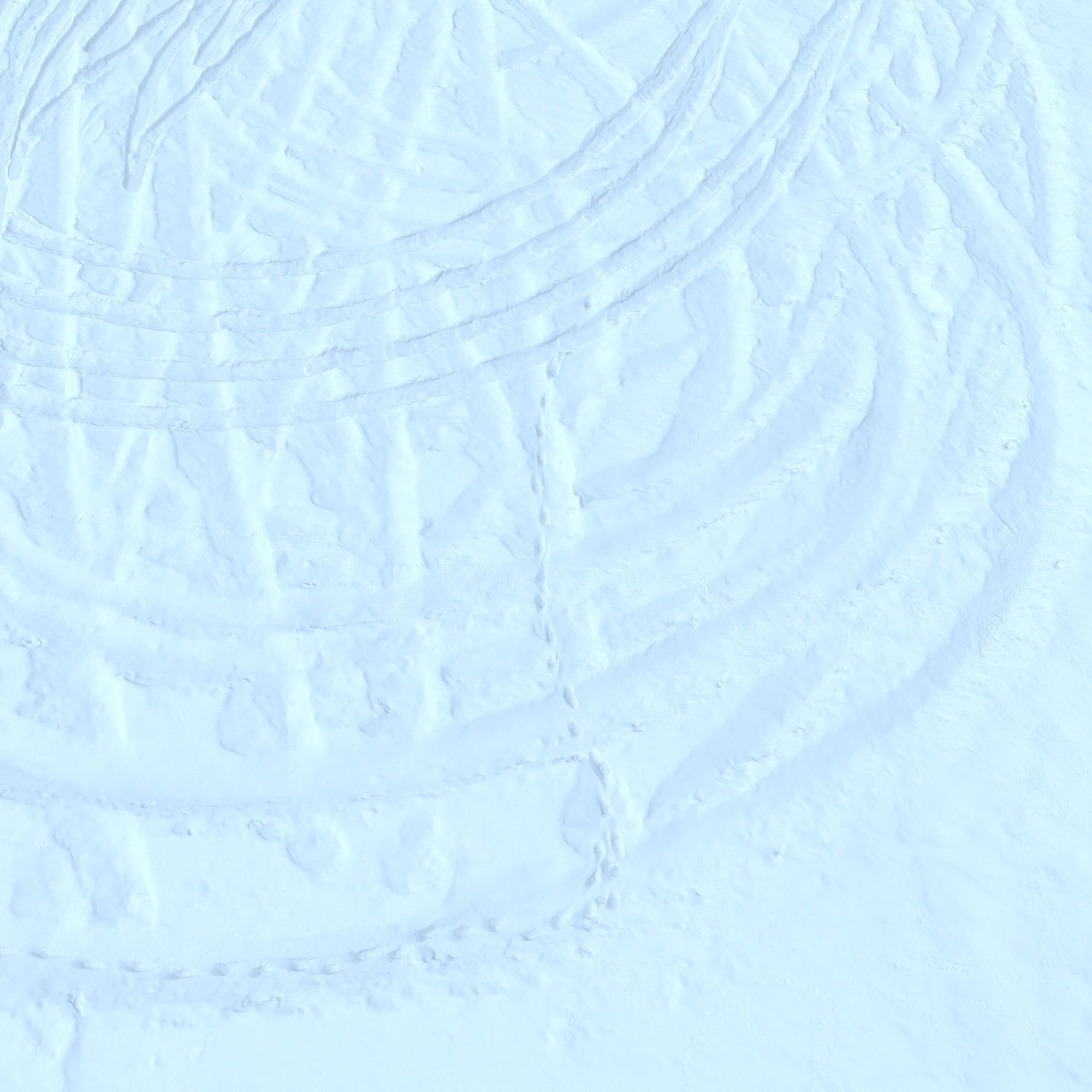 Texture Trail in the snow Low-poly 3D model VR / AR / low-poly | CGTrader