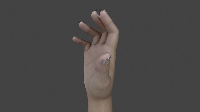 HAND-028 Right Hand 3D model | CGTrader