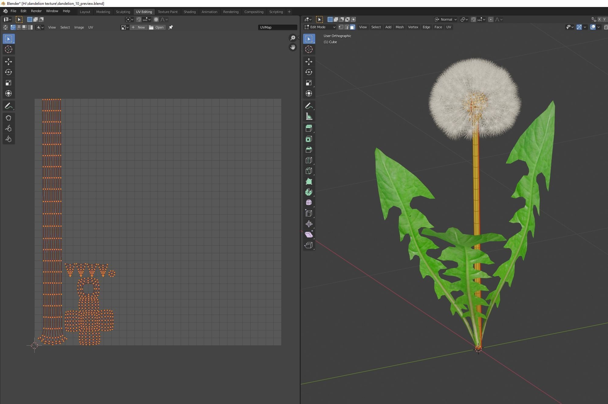 Dandelion 3D model rigged | CGTrader