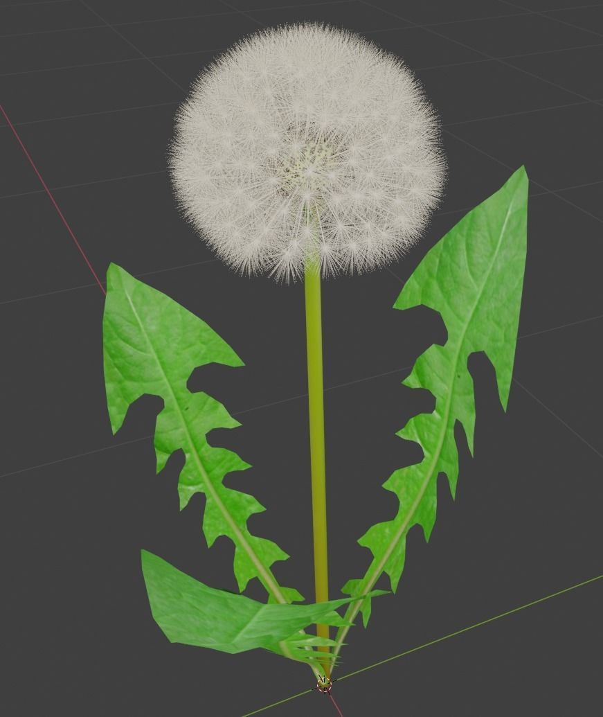 Dandelion 3D model rigged | CGTrader