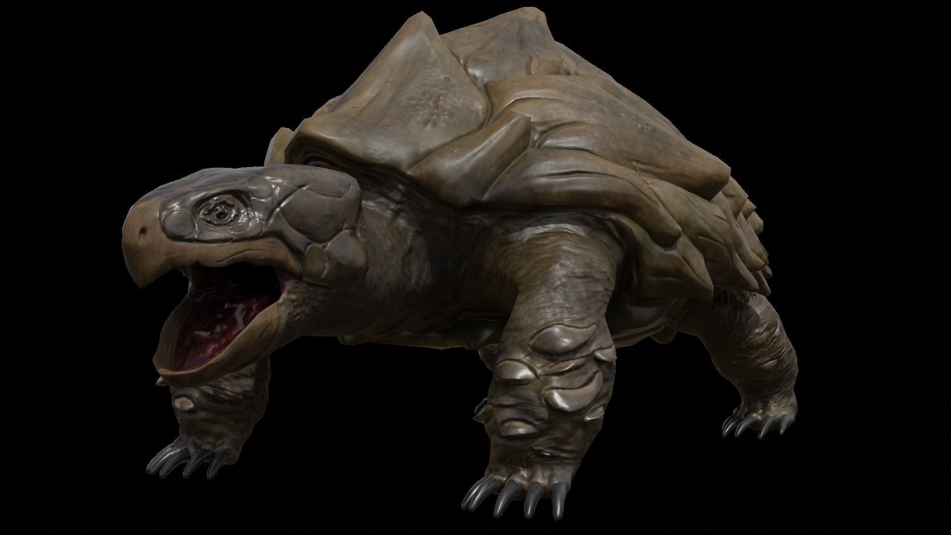 3D model Fantasy Turtle VR / AR / low-poly | CGTrader