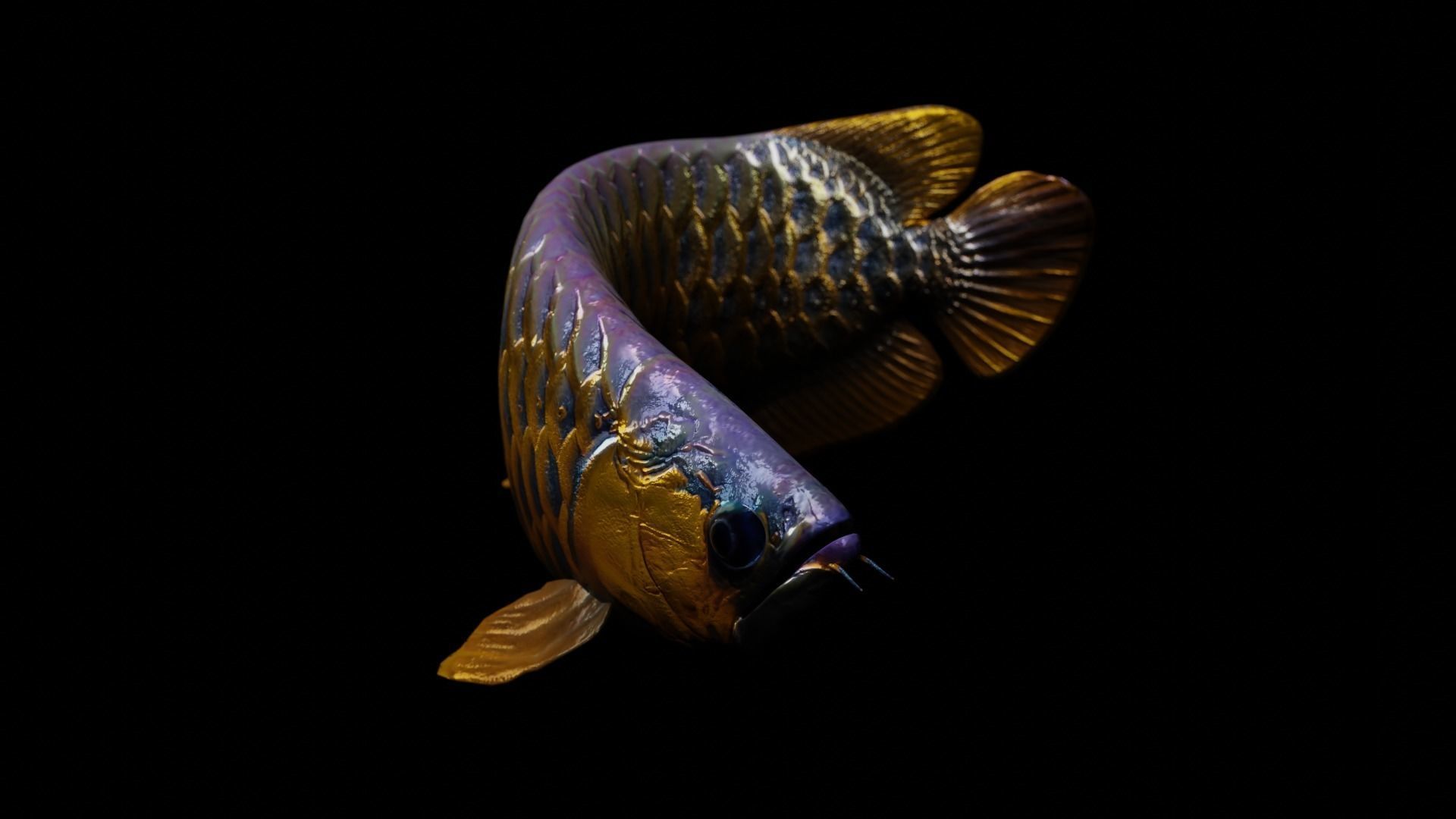 3D Model Collection Realistic freshwater fish VR / AR / low-poly | CGTrader