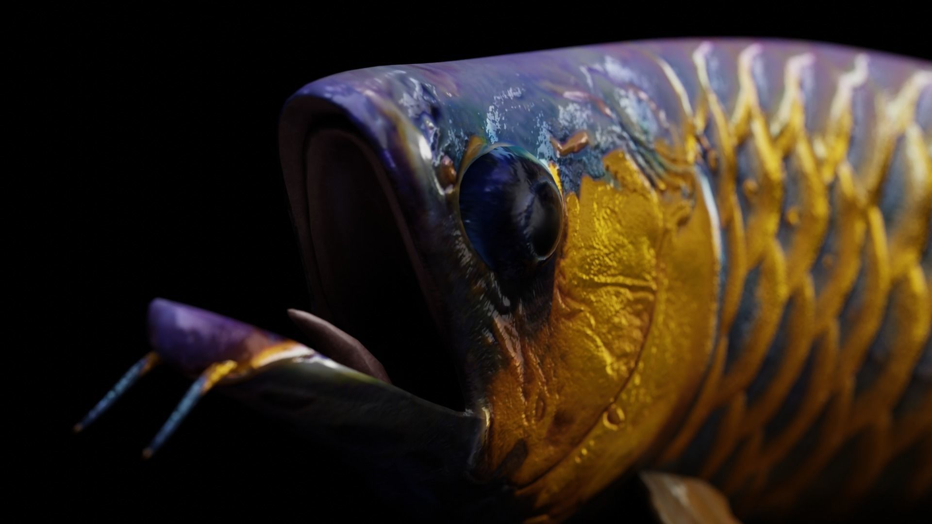 3D Model Collection Realistic freshwater fish VR / AR / low-poly | CGTrader