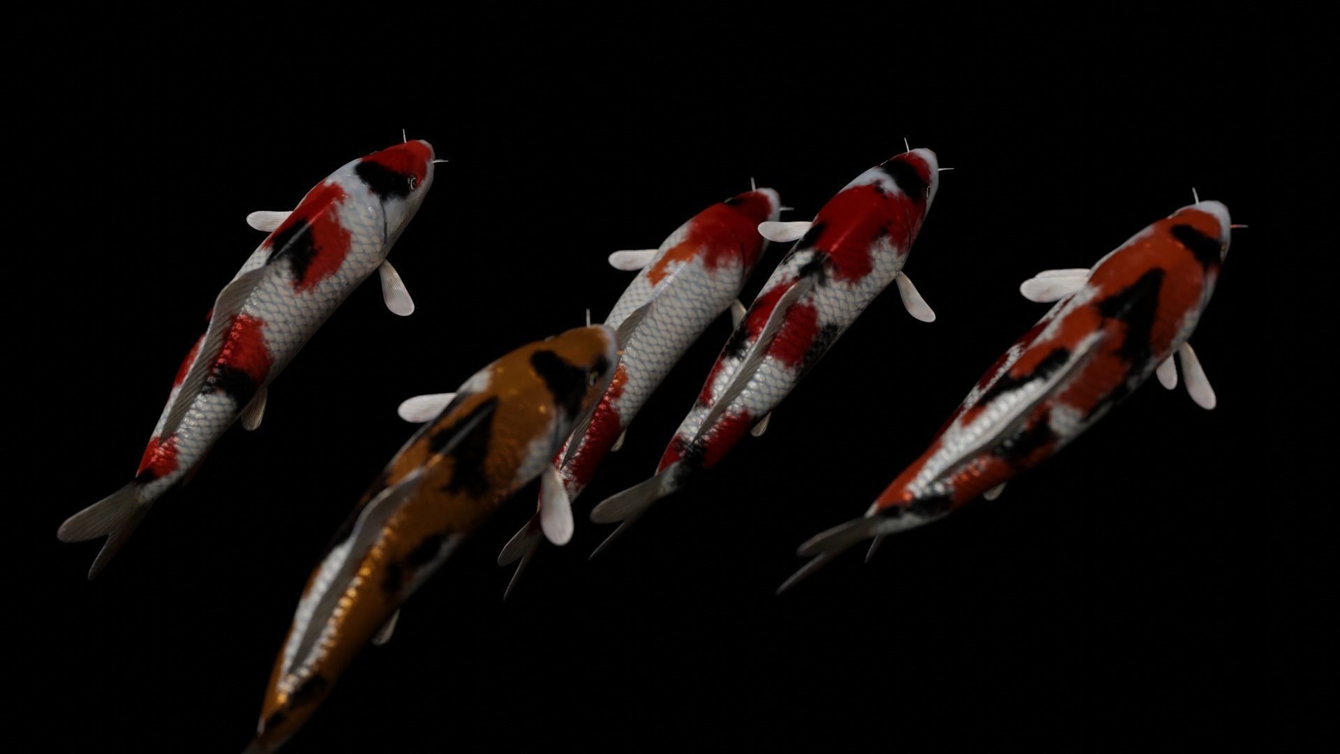 3D Model Collection Realistic freshwater fish VR / AR / low-poly | CGTrader