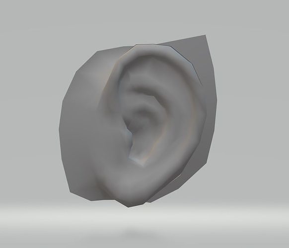 HumanEar ear free VR / AR / low-poly 3D model | CGTrader