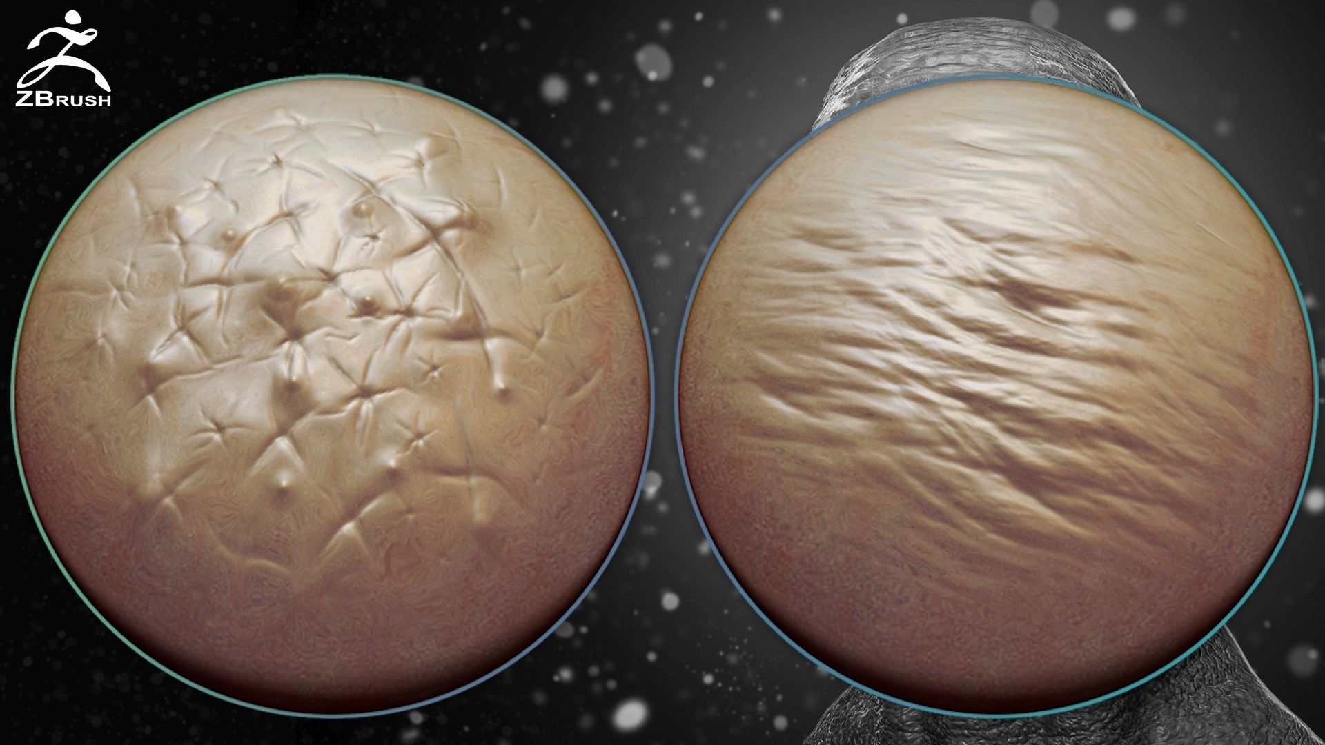 Skin Alphas for ZBrush 3D model | CGTrader