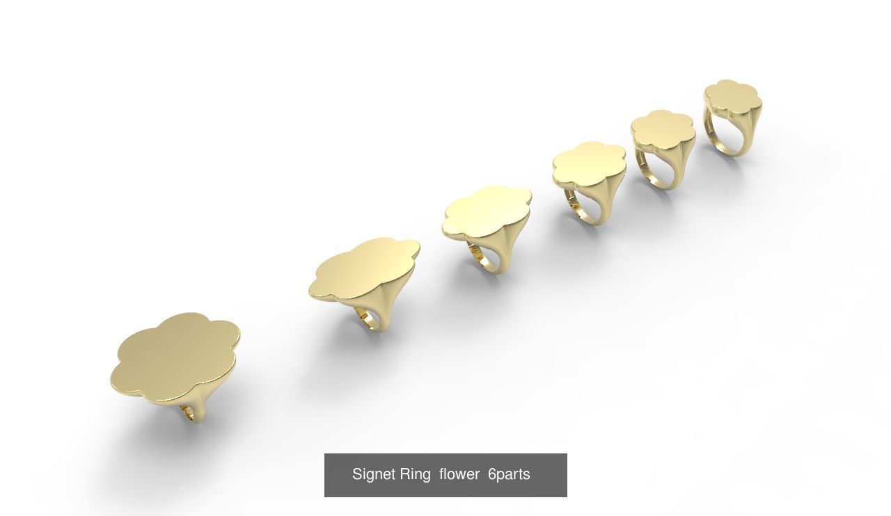 Signet Ring 120 parts 3D Model Collection | CGTrader