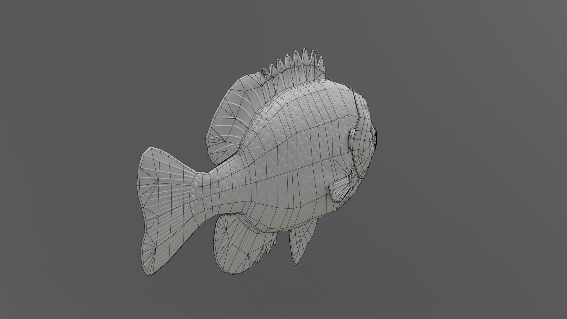 3D model Bluegill Fish VR / AR / low-poly | CGTrader