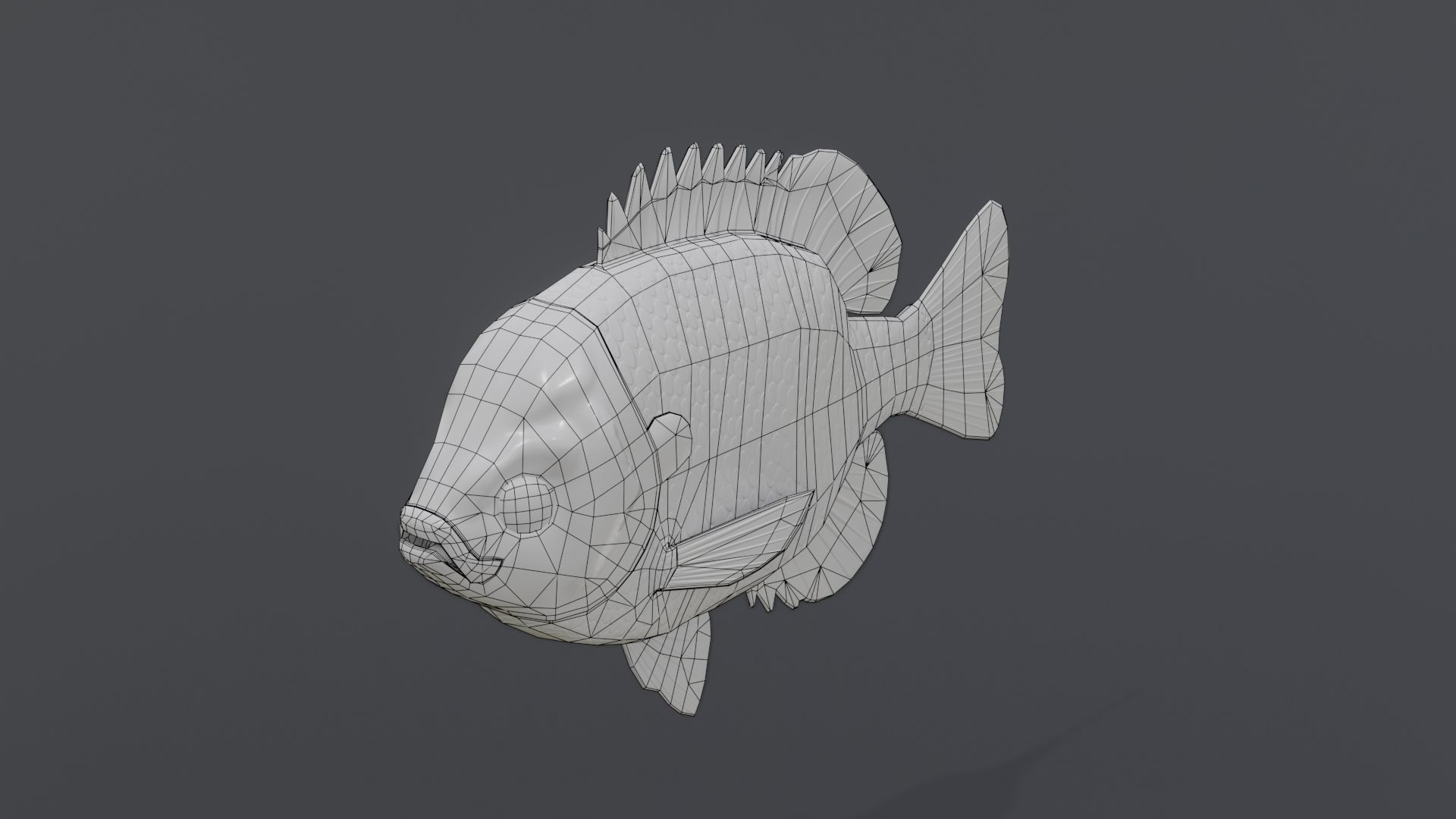 3D model Bluegill Fish VR / AR / low-poly | CGTrader