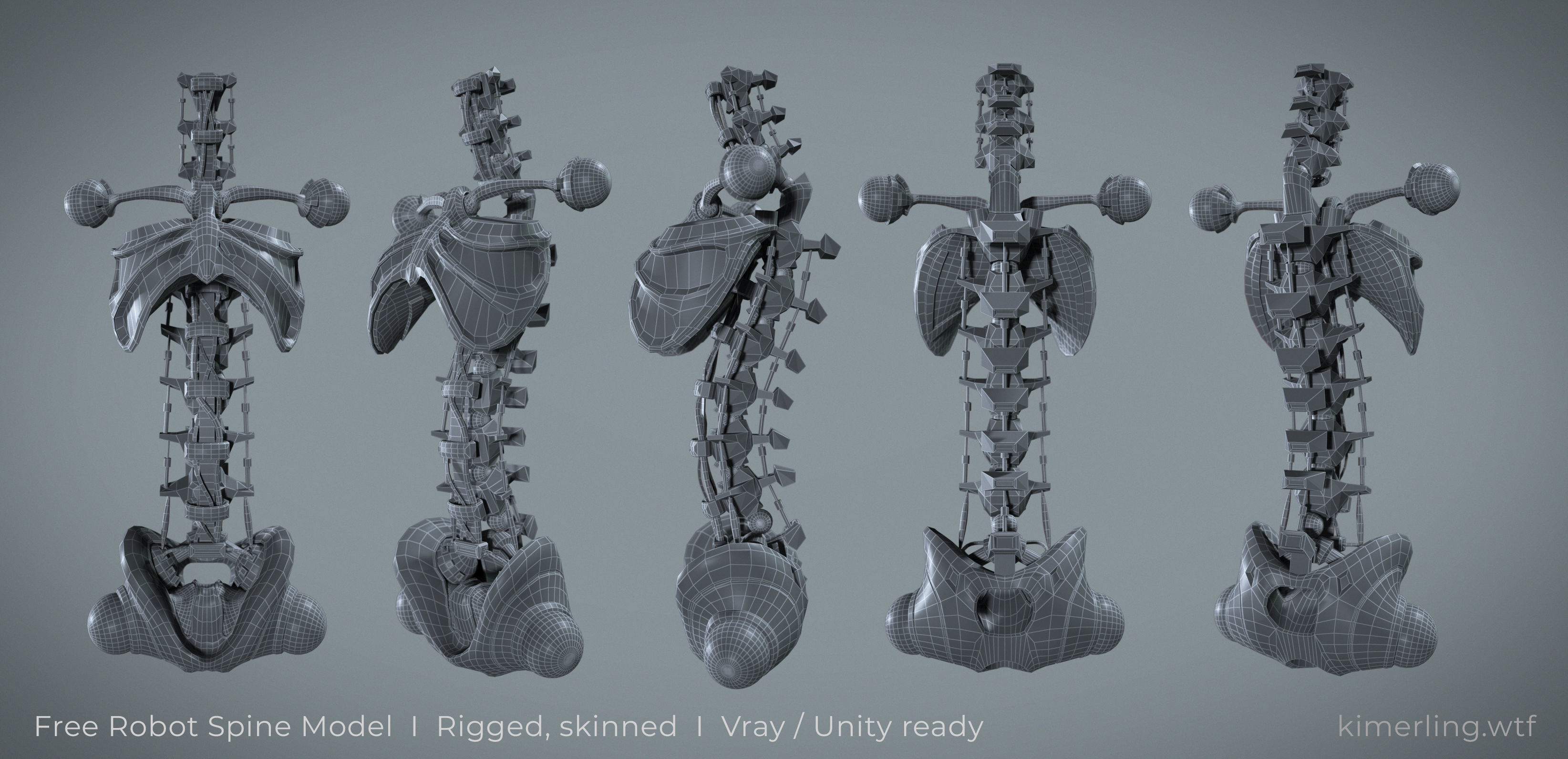 Robot Spine free 3D model animated rigged | CGTrader