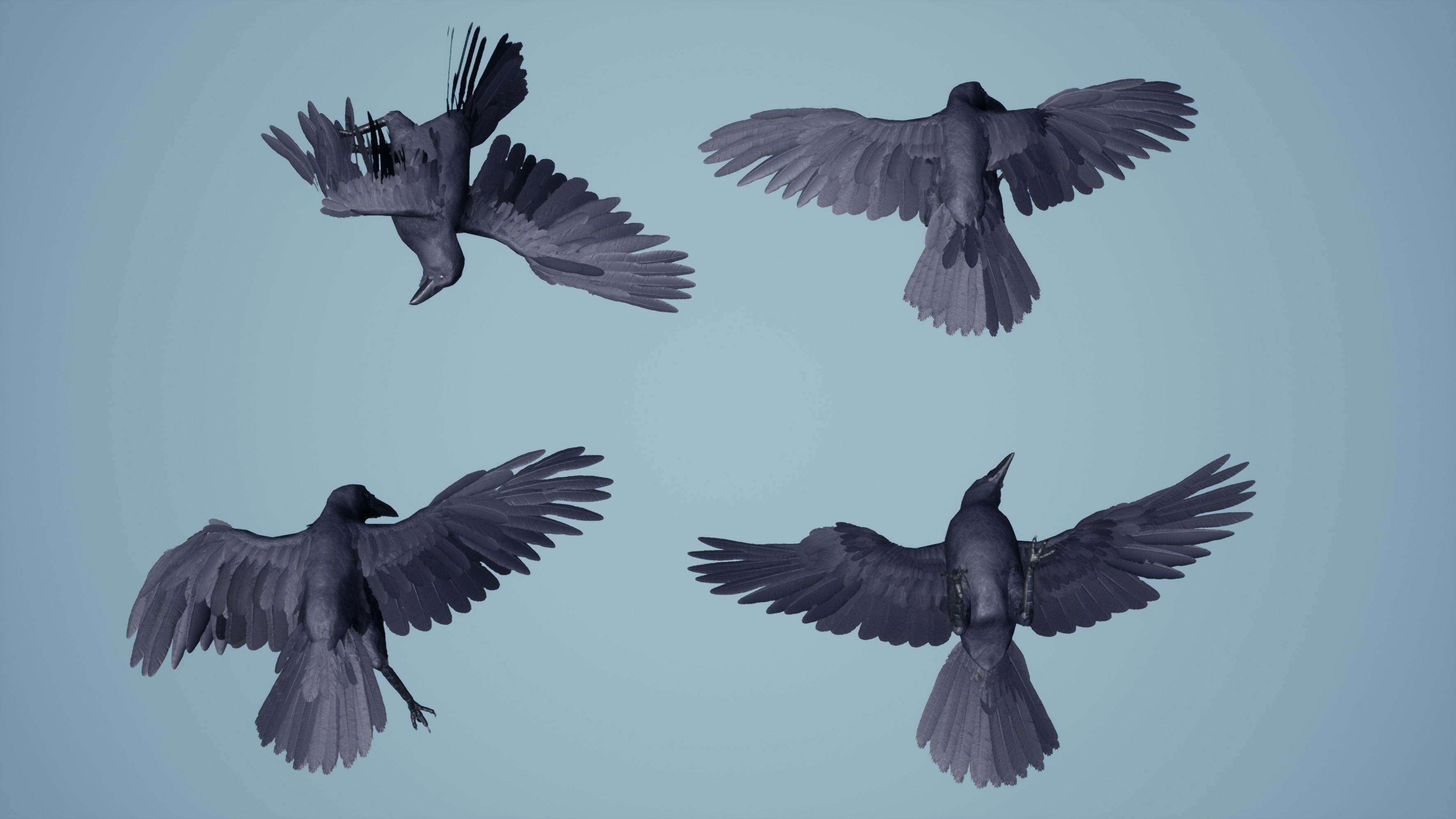 3D model Dead Crow VR / AR / low-poly | CGTrader