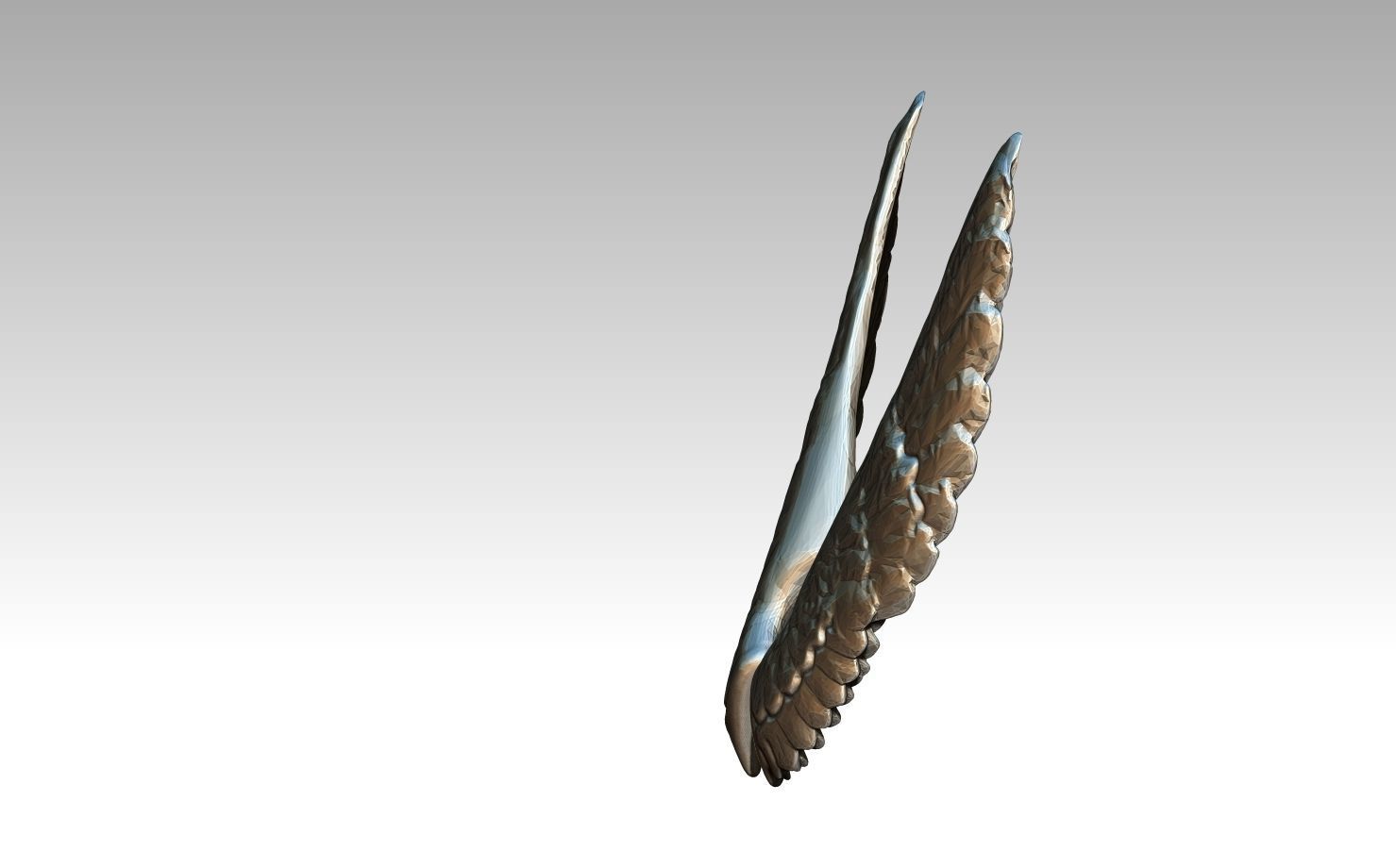 Great Wing pair 3D model 3D printable | CGTrader