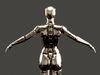 Rigged SILVER DROID Female 3D model rigged | CGTrader