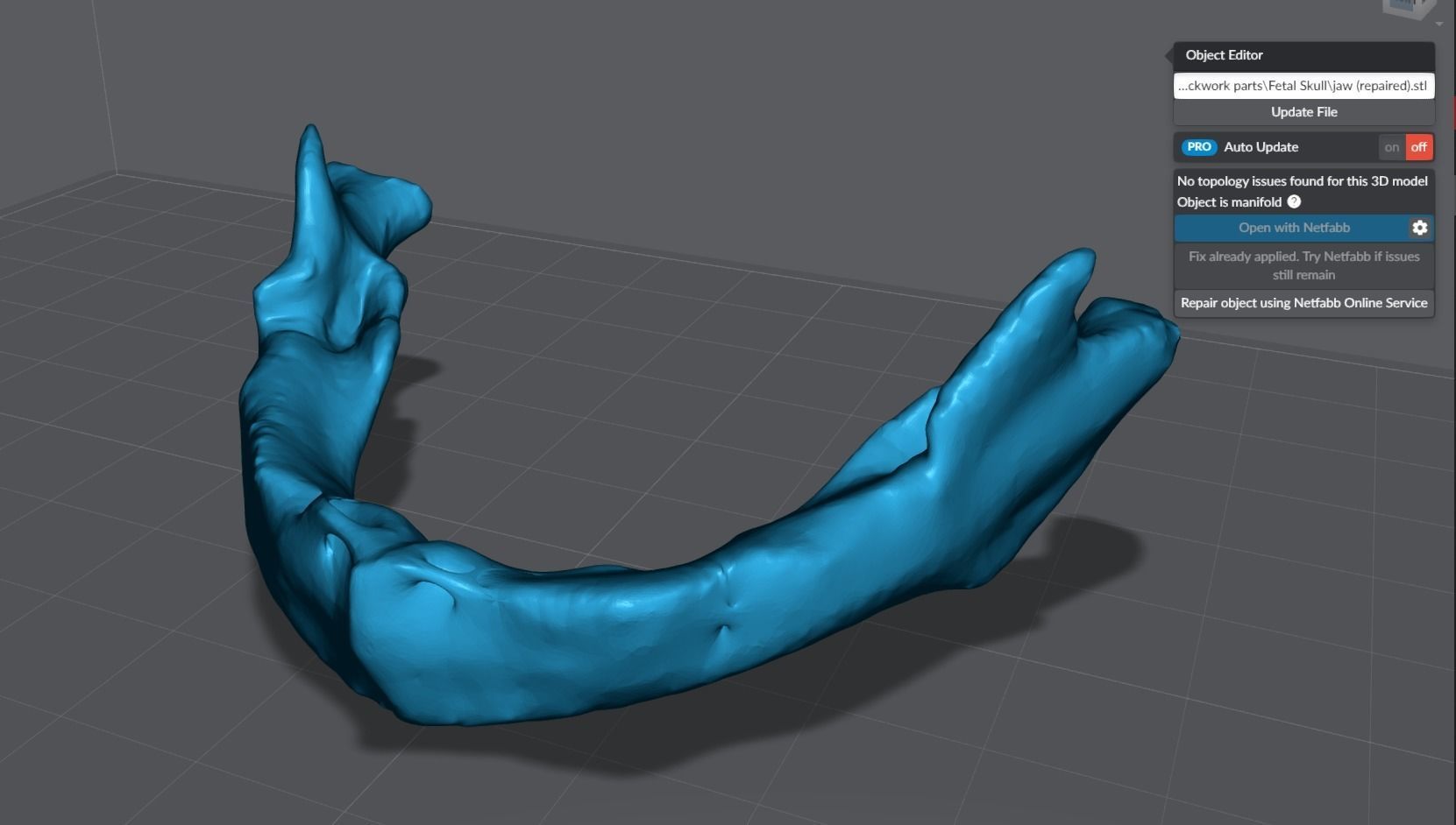 Fetal Skull 3D model 3D printable | CGTrader