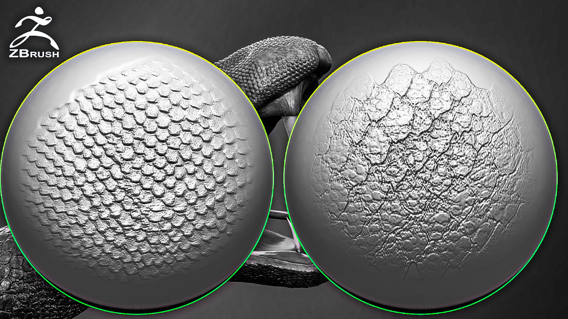 Reptile Skin Alphas for ZBrush 3D model | CGTrader