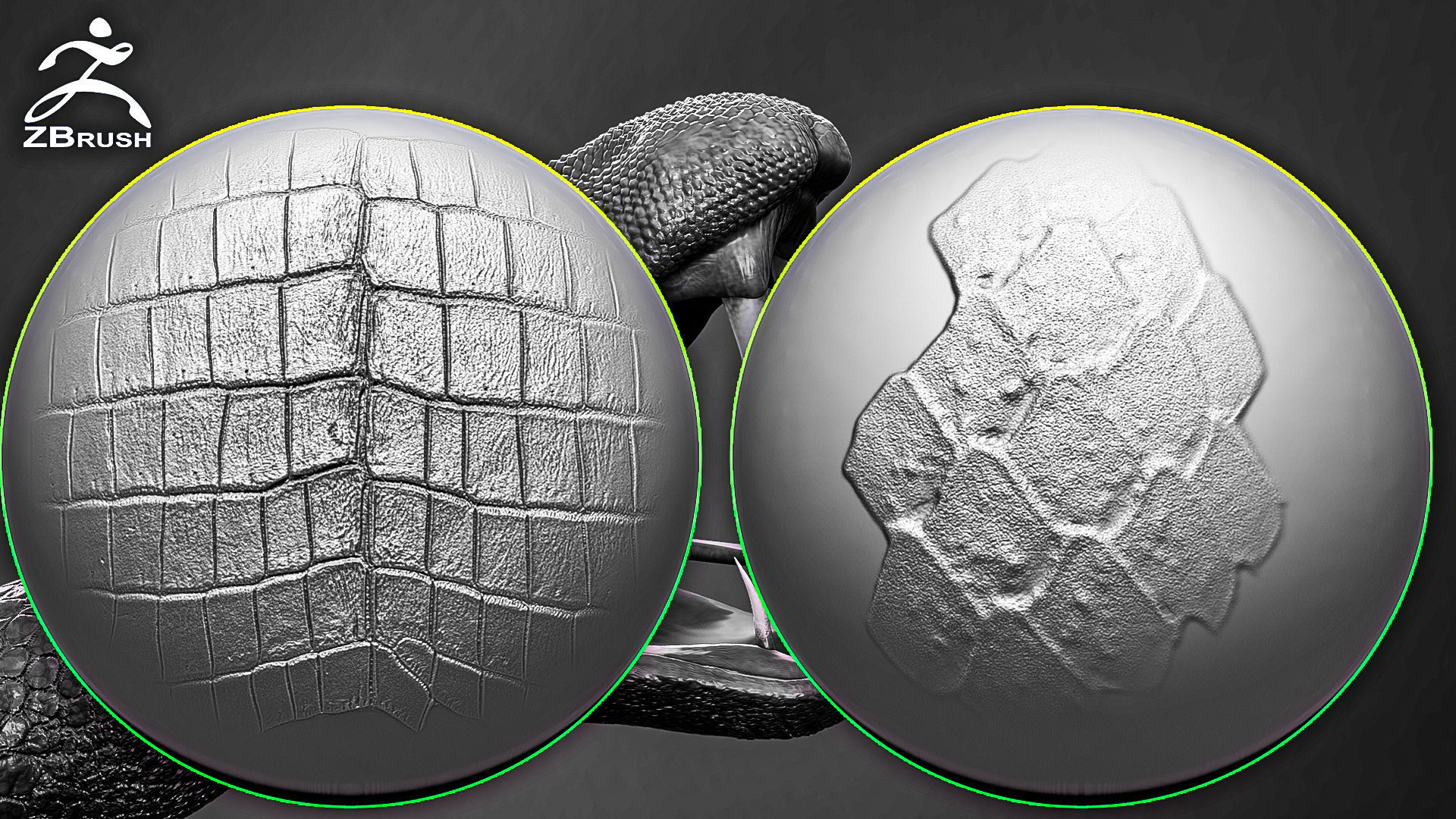 Reptile Skin Alphas for ZBrush 3D model | CGTrader