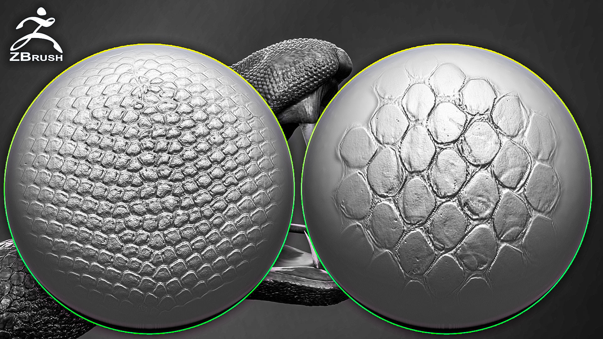 Reptile Skin Alphas for ZBrush 3D model | CGTrader