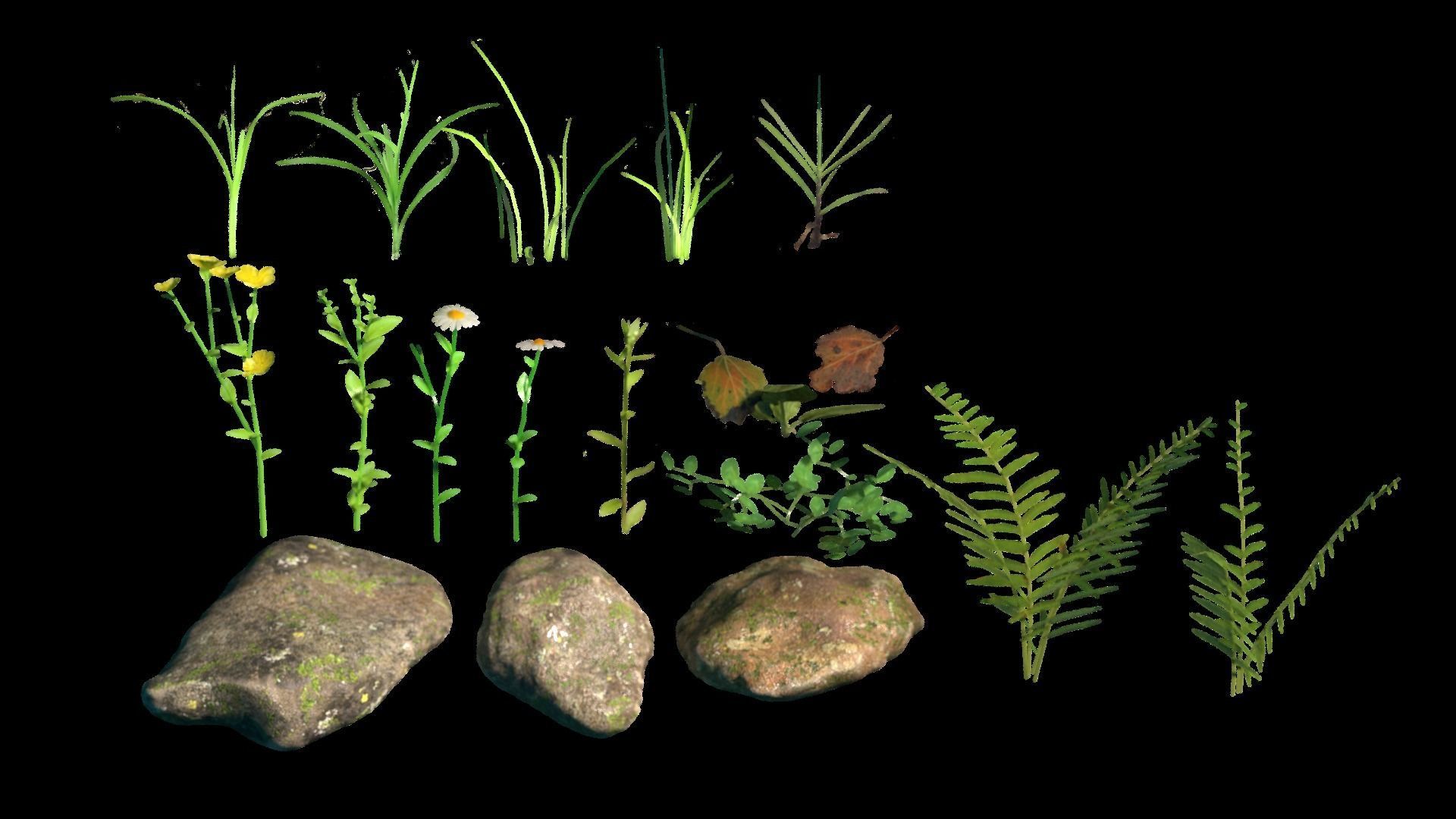 Grass and rocks pack 3D model | CGTrader