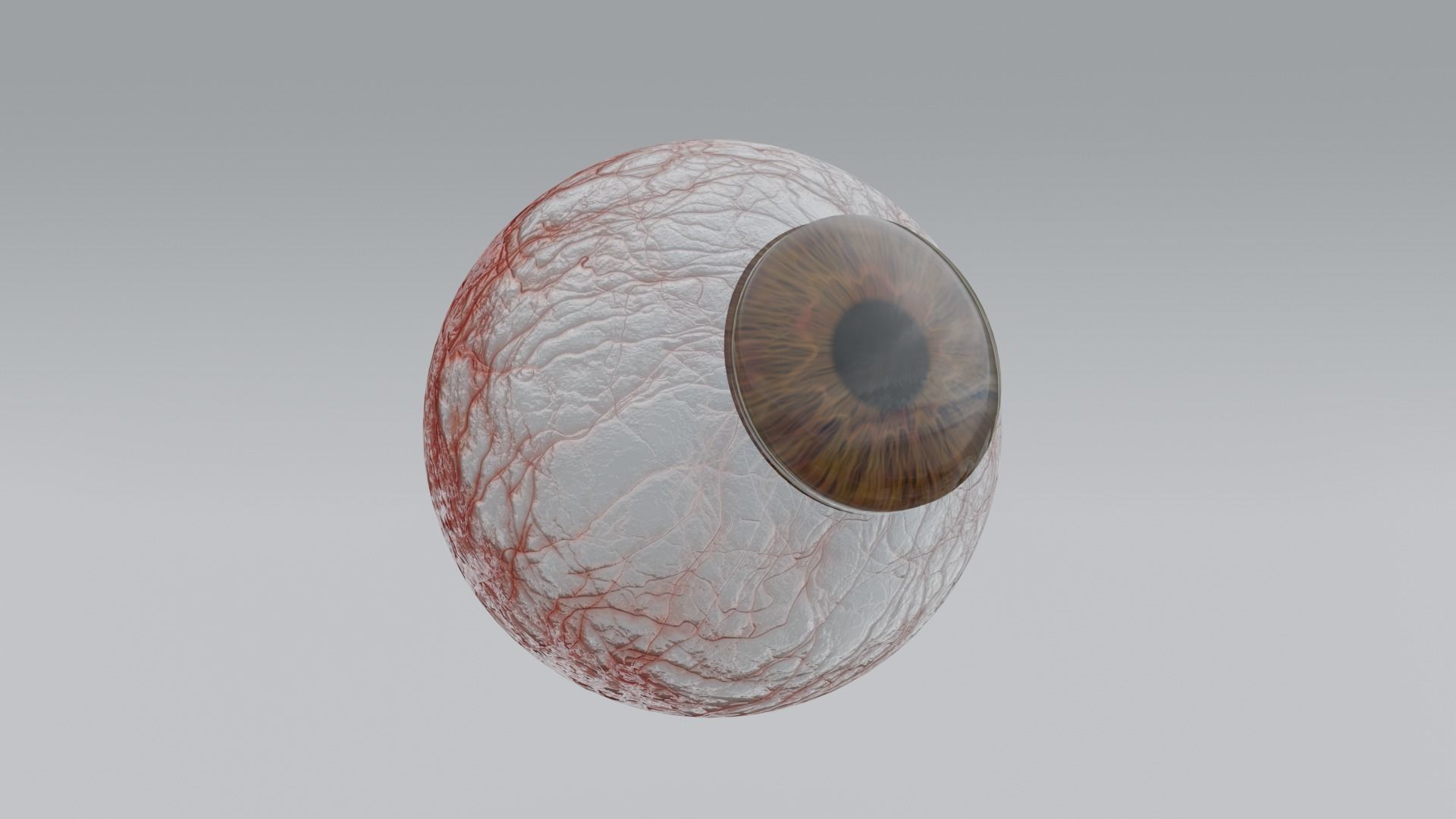 Realistic Eye human 3D model | CGTrader