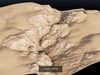 Canyon Cliff 3D Model Pack | CGTrader