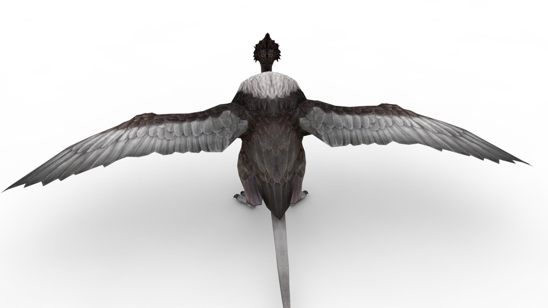3D model Condor Rigged and Animated VR / AR / low-poly rigged animated ...