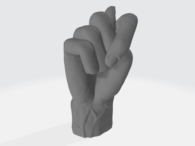 Hand Gesture 3D model 3D printable | CGTrader
