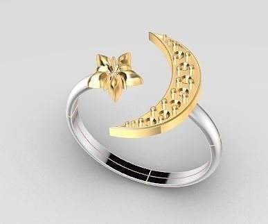ring moon and star 3D model | CGTrader