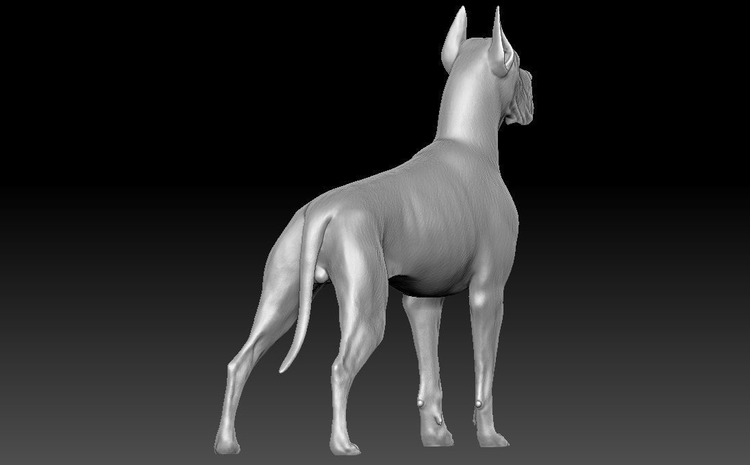 Great Dane dog for 3D printing 3D model 3D printable | CGTrader