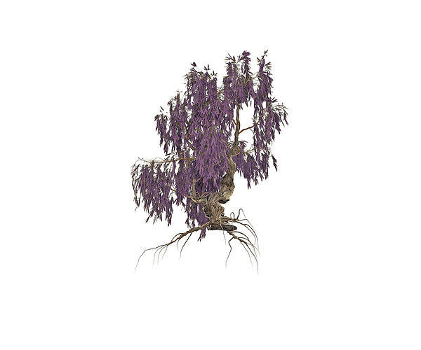 3D model wisteria VR / AR / low-poly | CGTrader