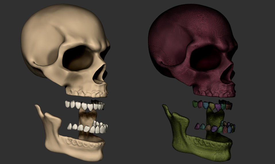 Skeleton Warrior Head and Helmet 3D model | CGTrader